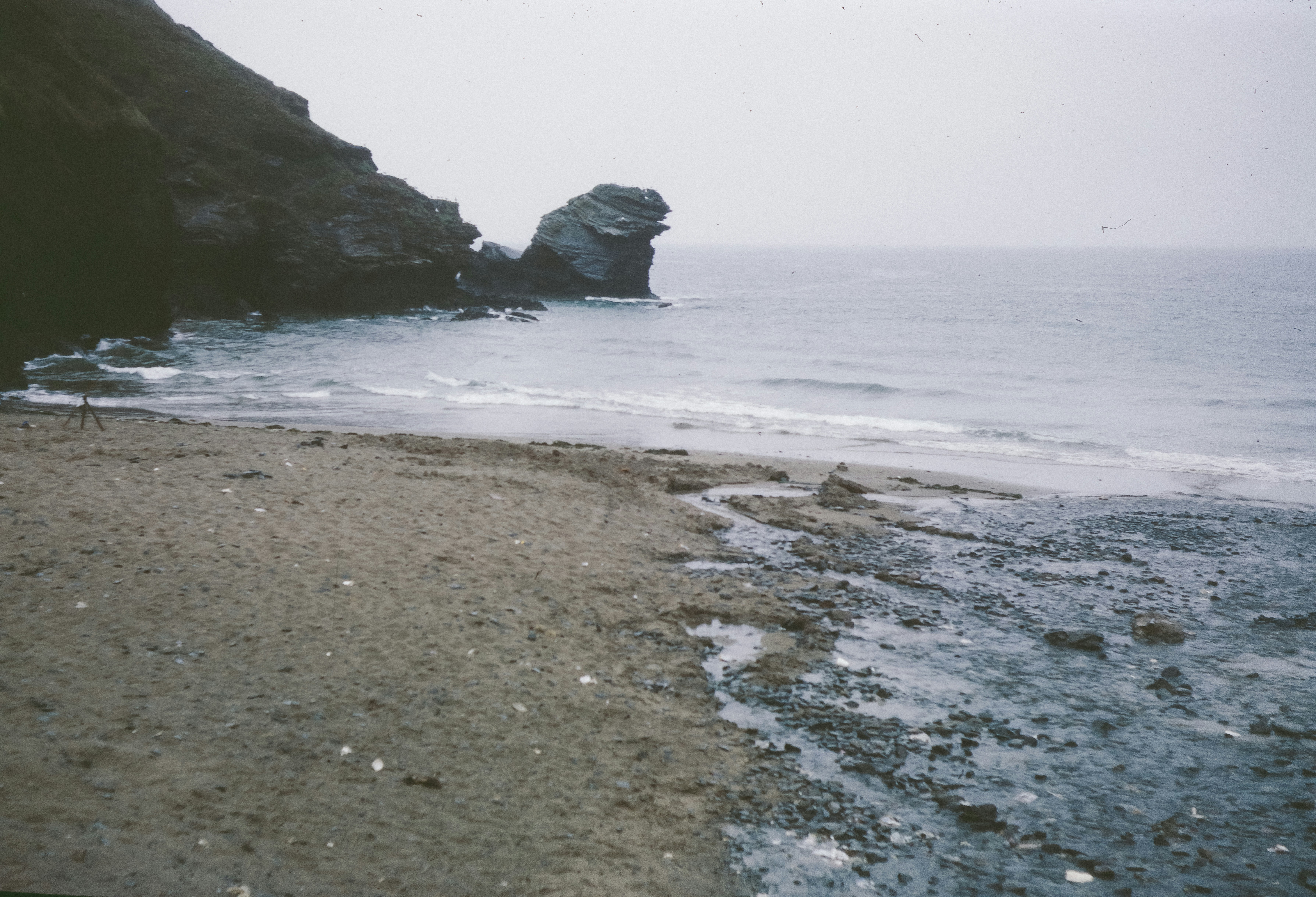 Photo by Annie Spratt with Plustek OpticFilm 120