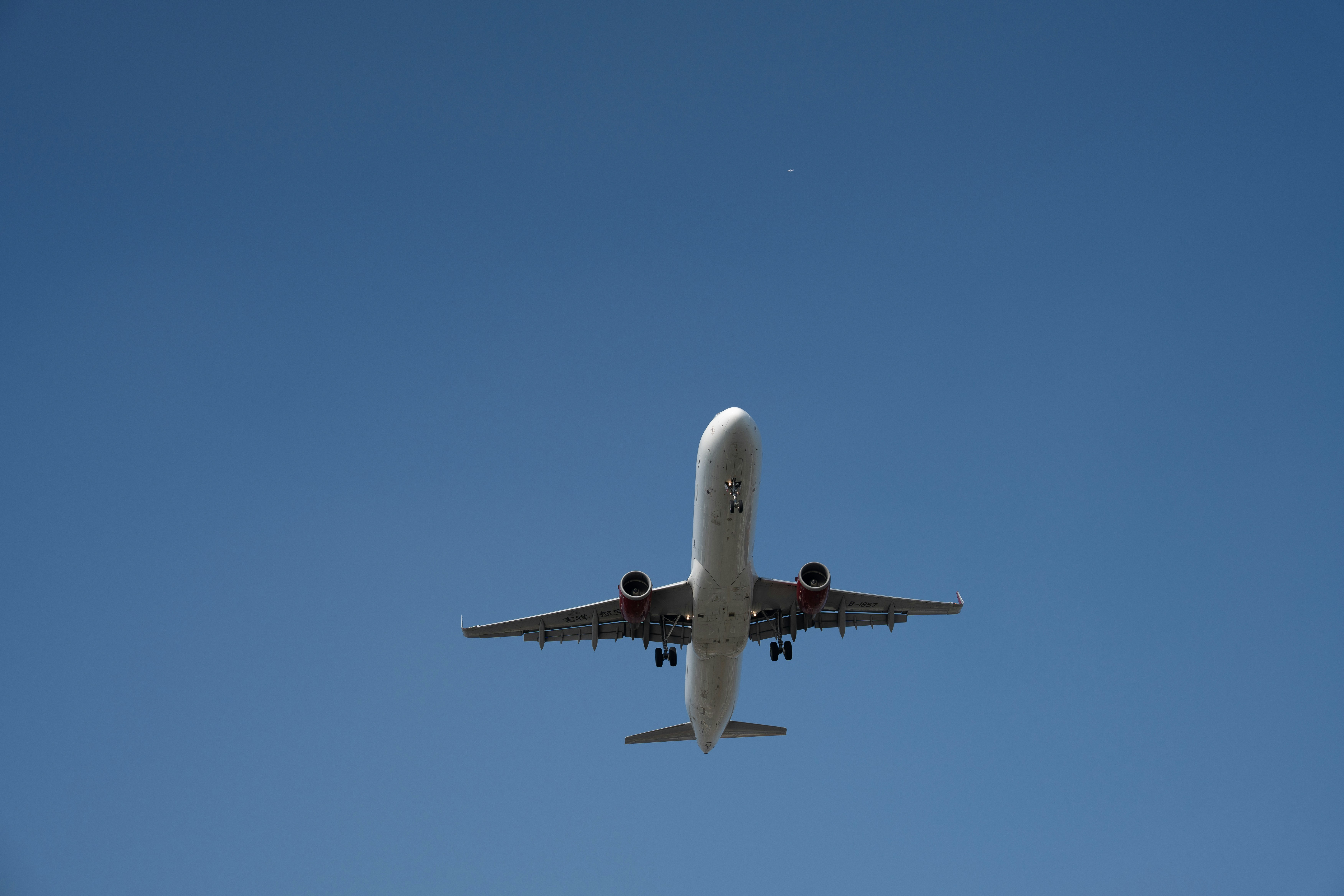 Photo by Hengfei Yang with Sony Alpha 7 IV