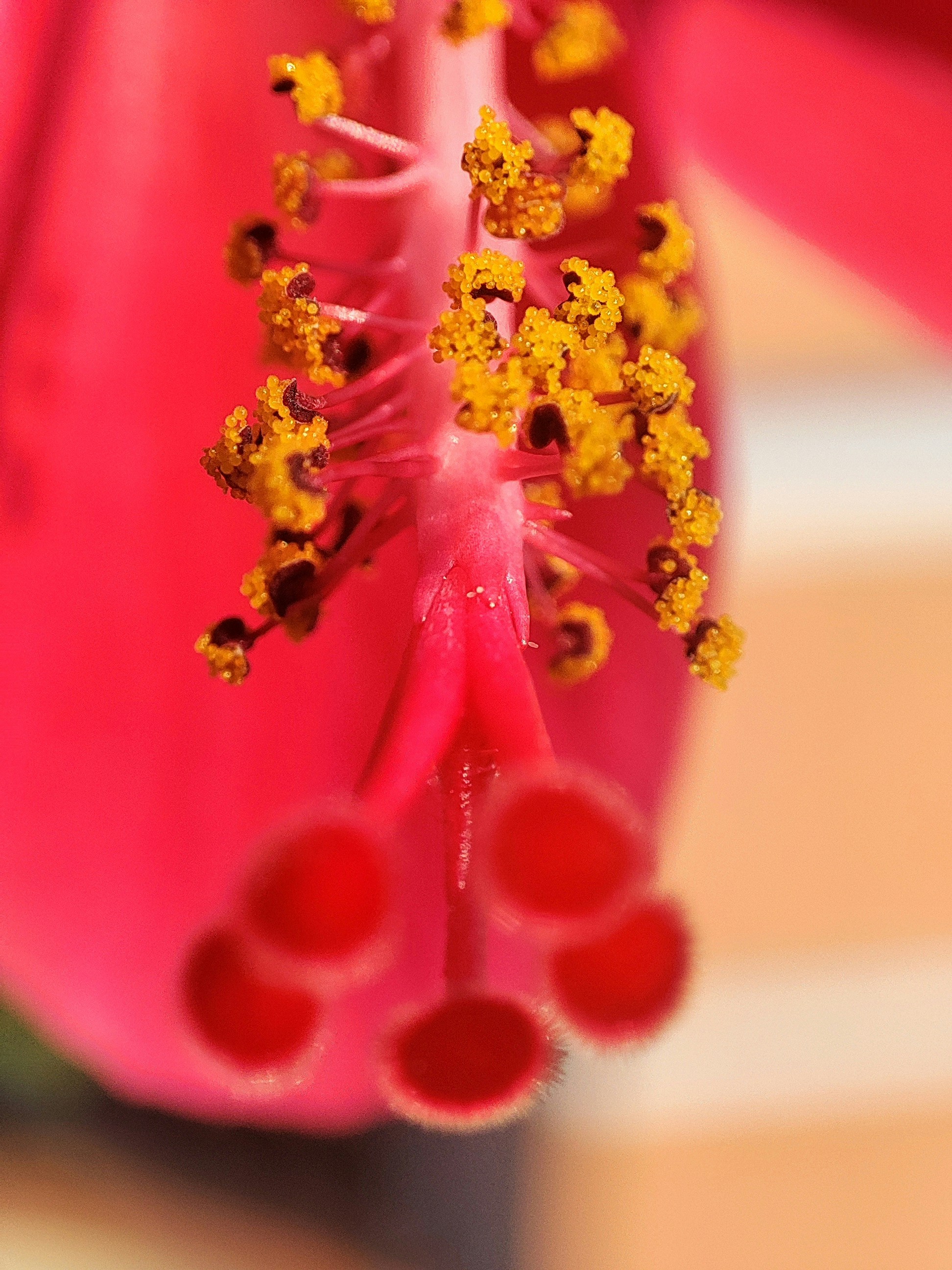 Photo by Adarsh Kumar Singh with Xiaomi Mi 11X