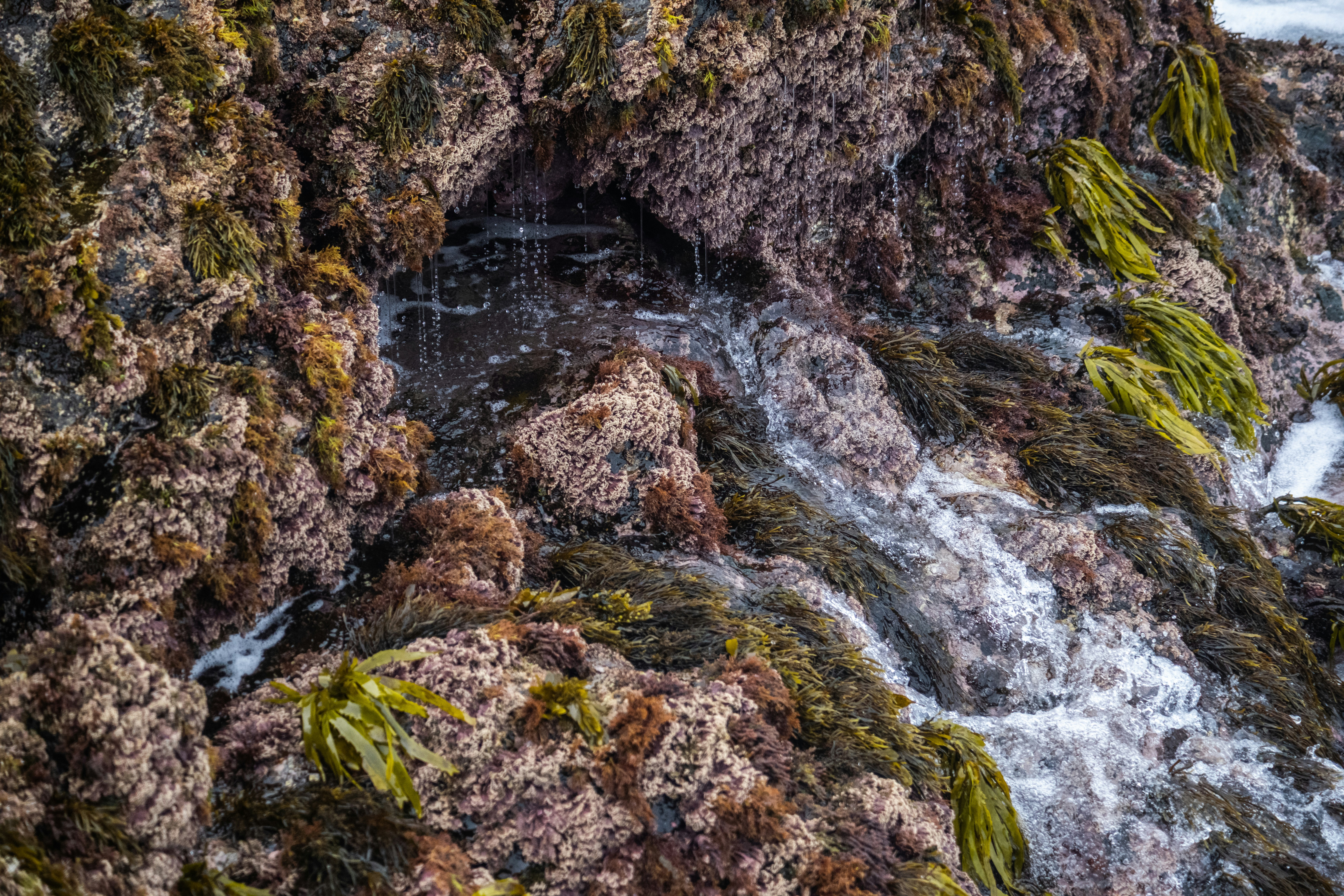 Photo by me aph with Fujifilm X-H2