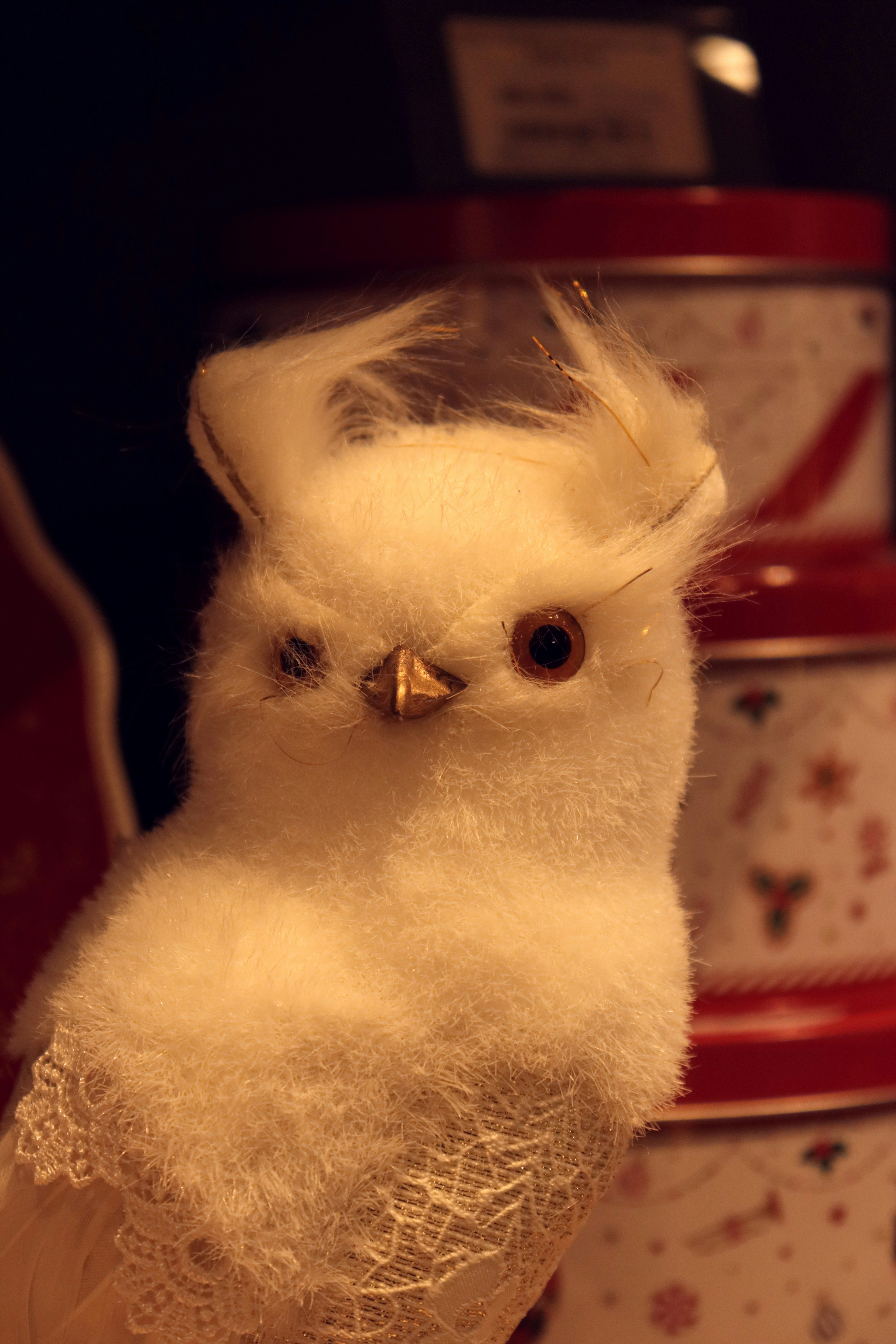 Fluffy Snowy Owl Keeper: Whimsy in a Cozy Red Memory