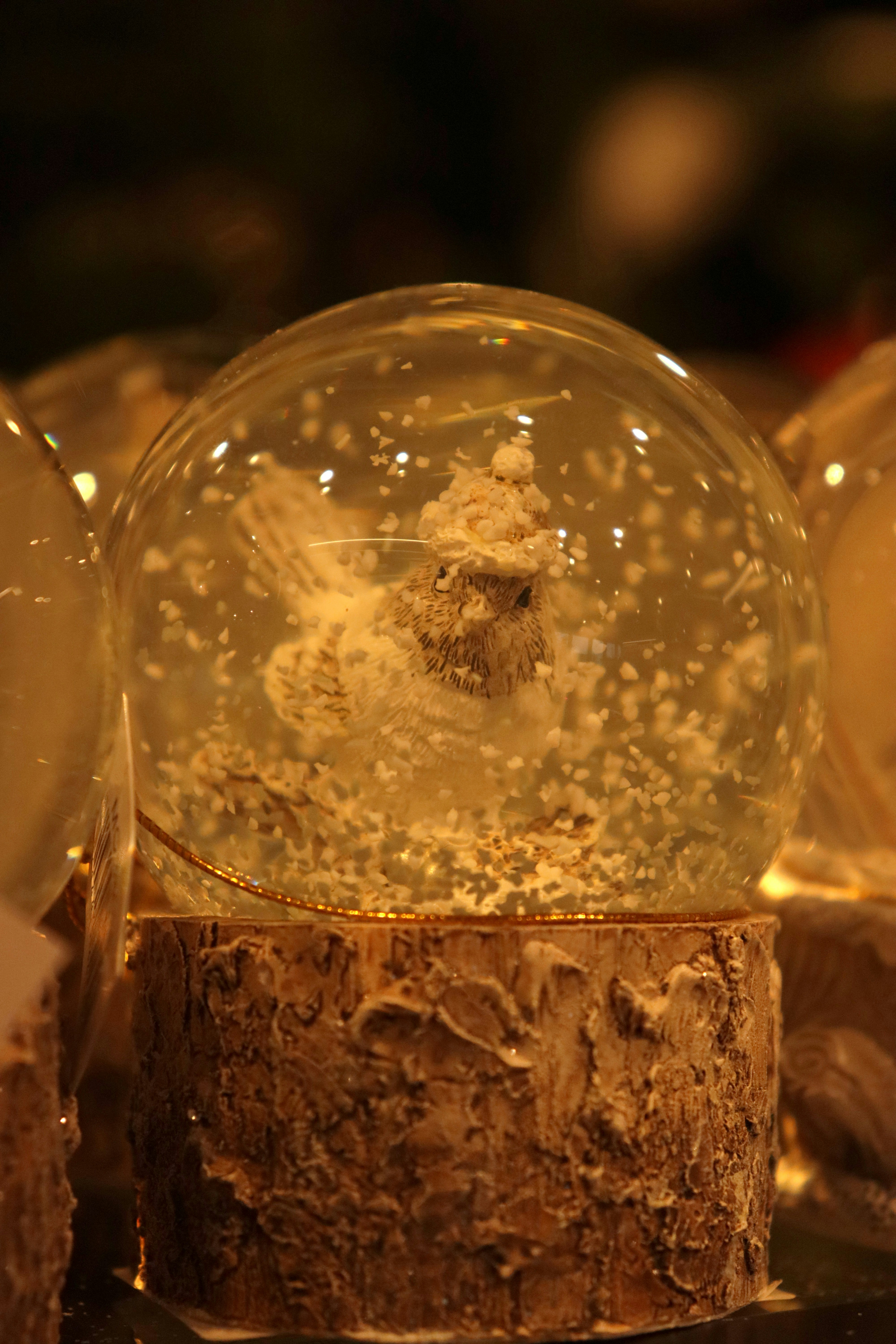 Globe of Winter: Snow-Dusted Globe within a Log Base