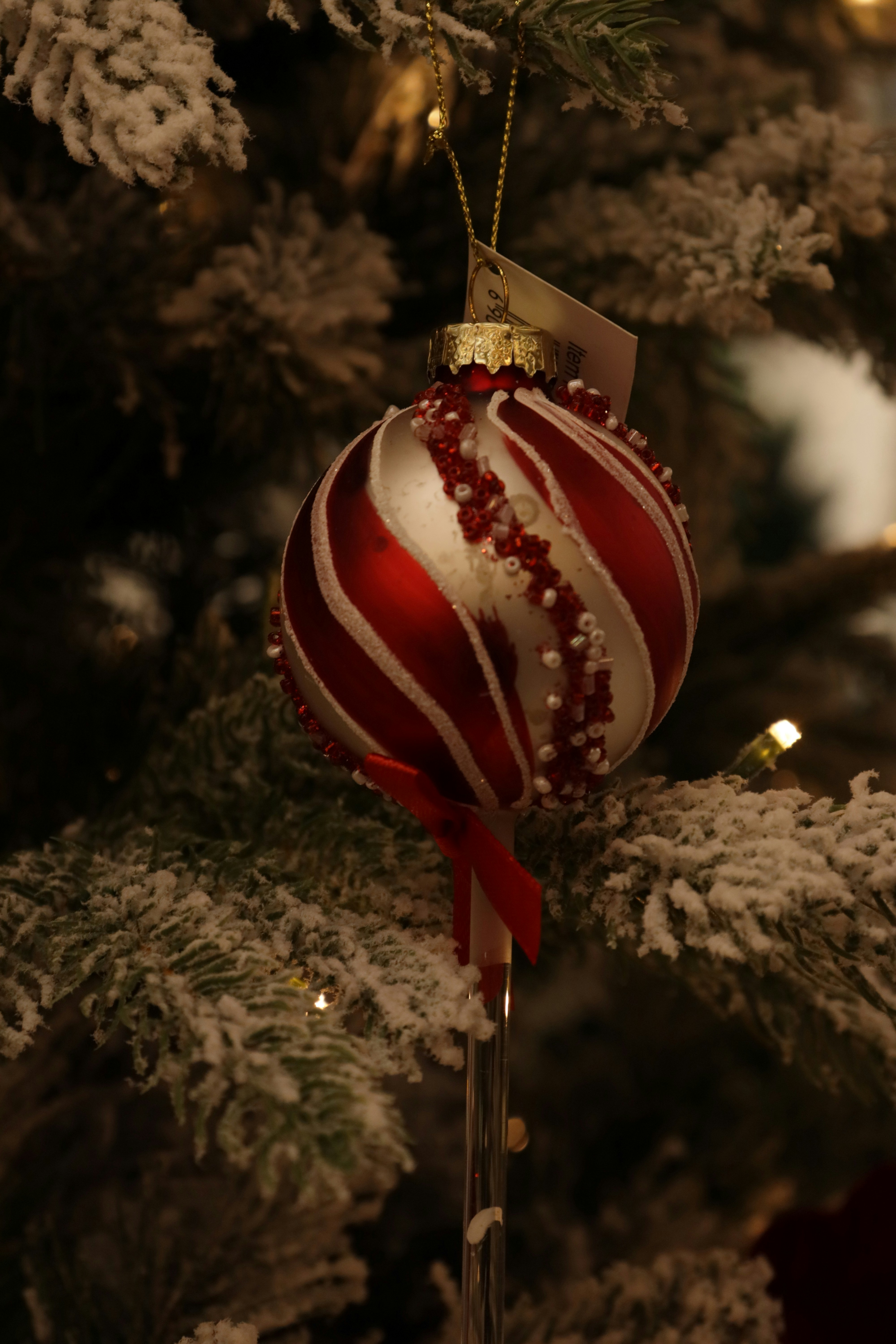 Red and white striped christmas ornament on tree