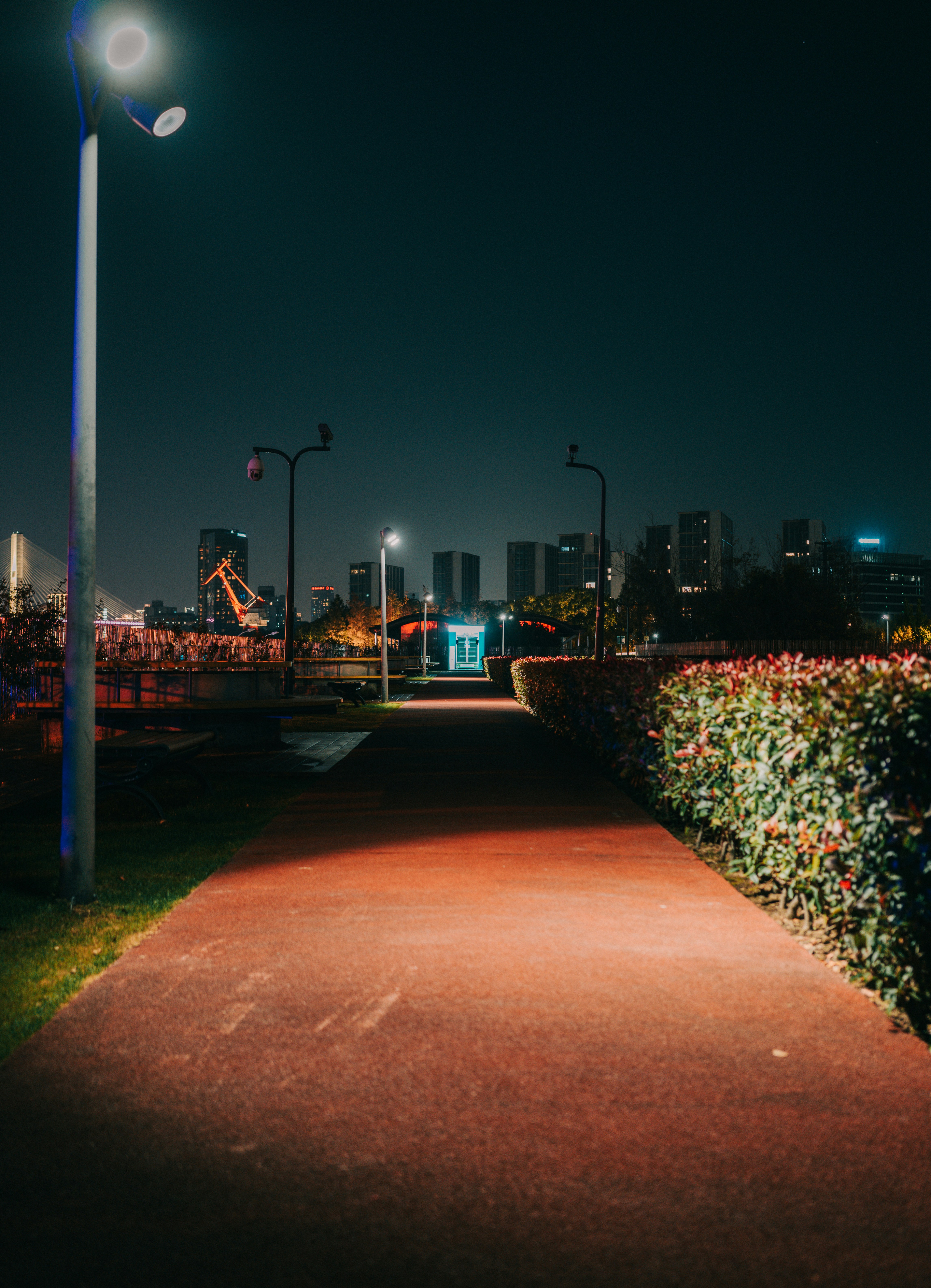 Midnight Riverside Promenade: Lanterns, Path, and City Lights