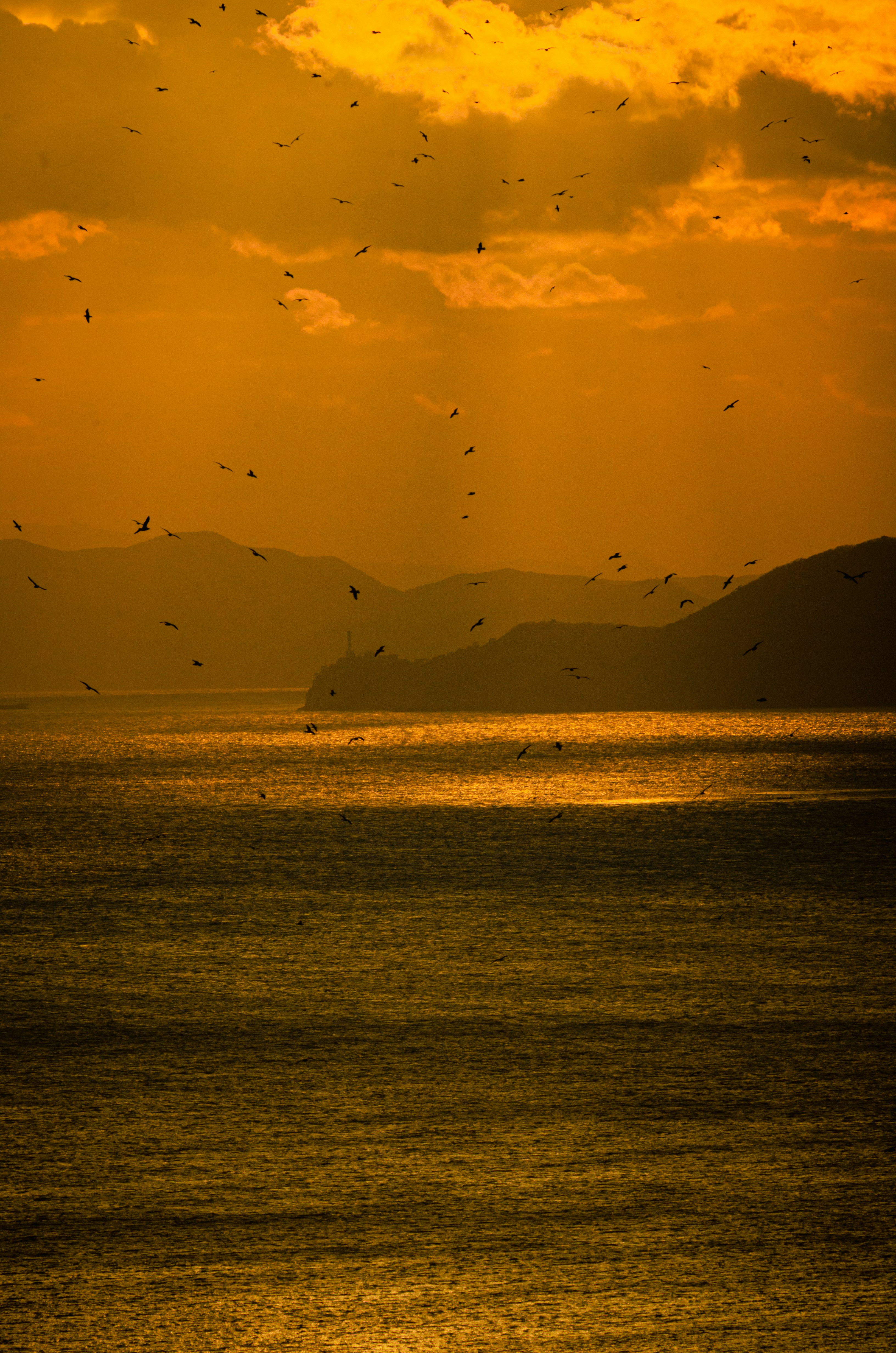 Golden Flight: Birds over a Silent Fjord at Dusk