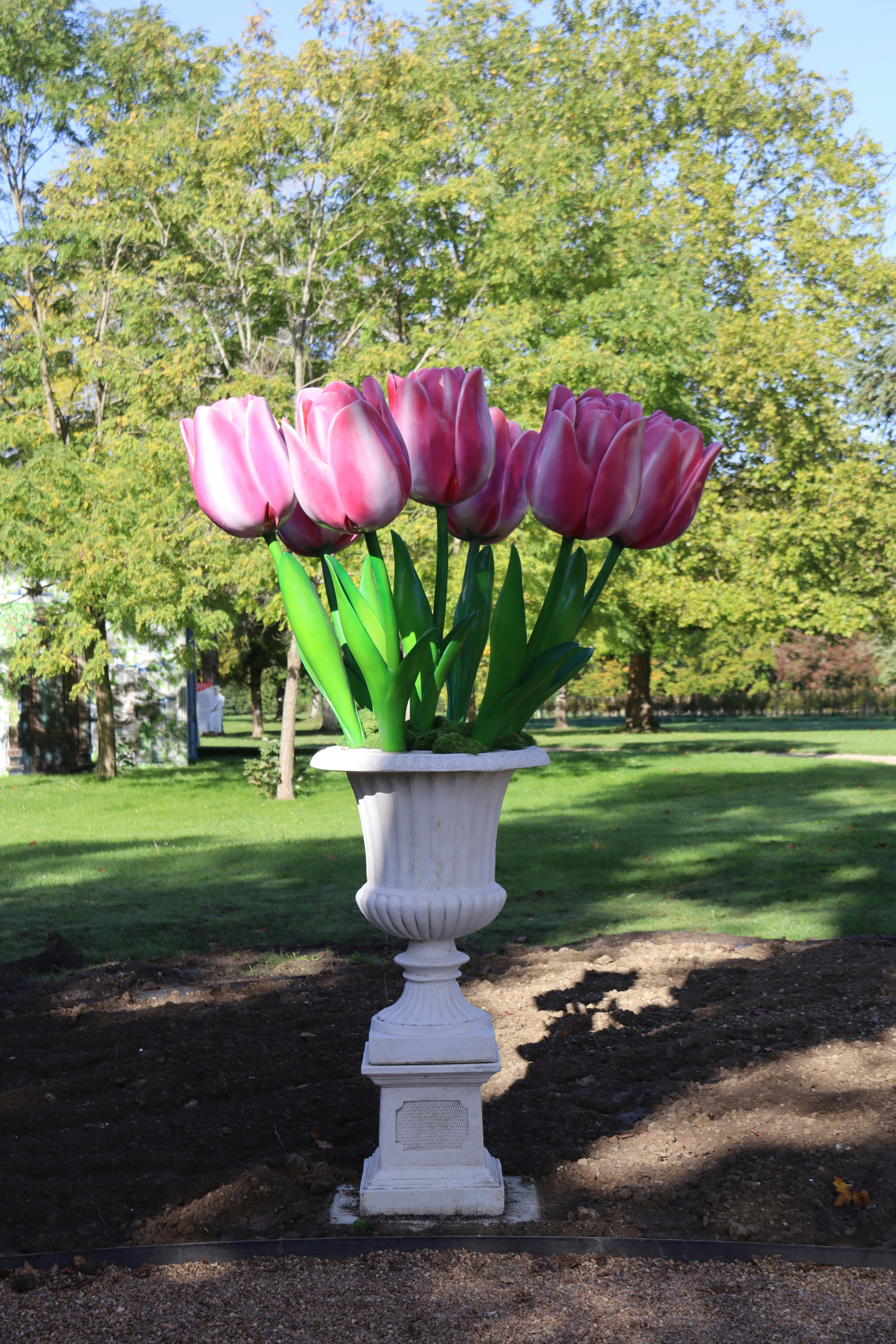 Photo by Shalev Cohen with Canon EOS 850D