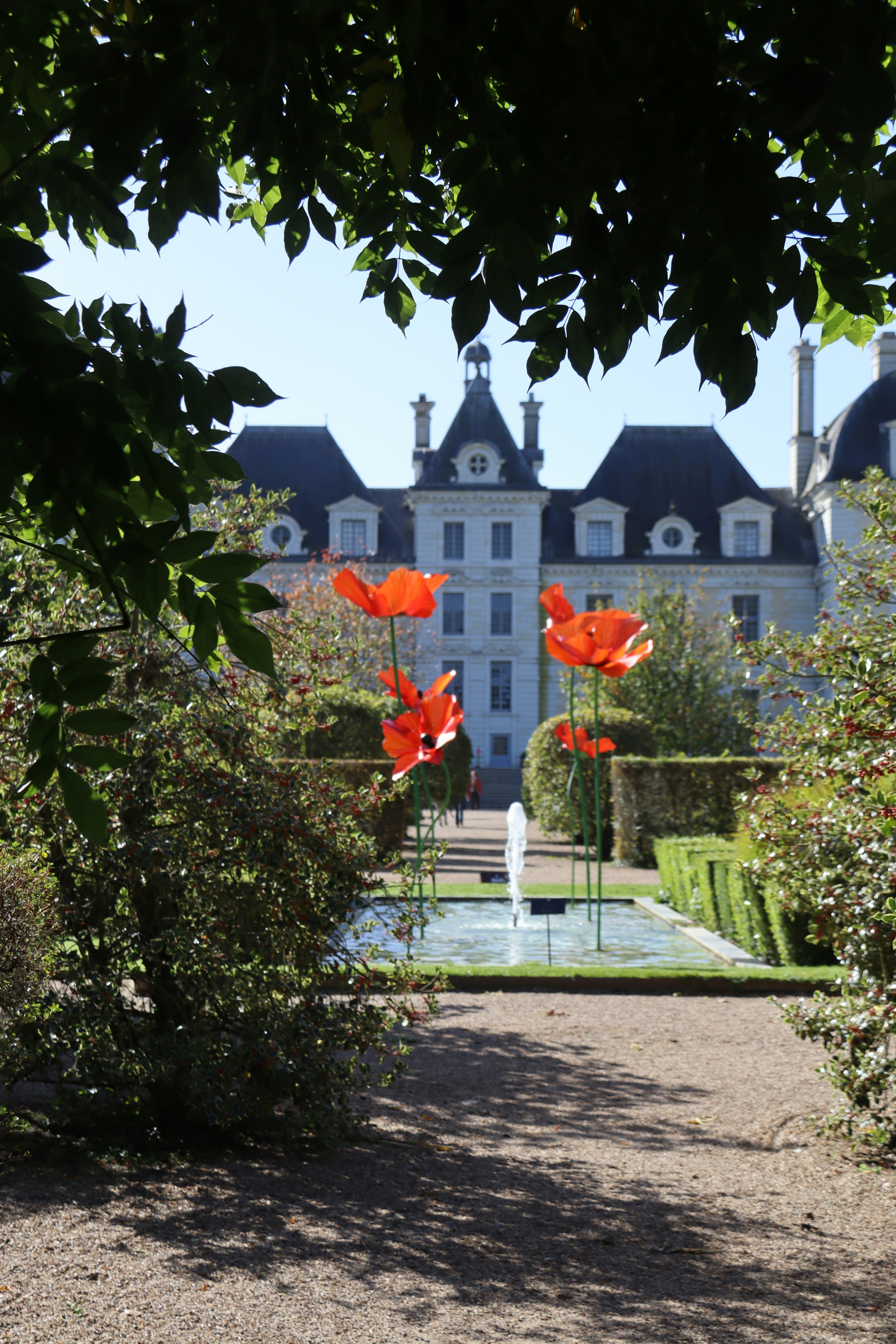Quiet Rooftops and Red Poppies: A Garden Path to a Grand Chalet