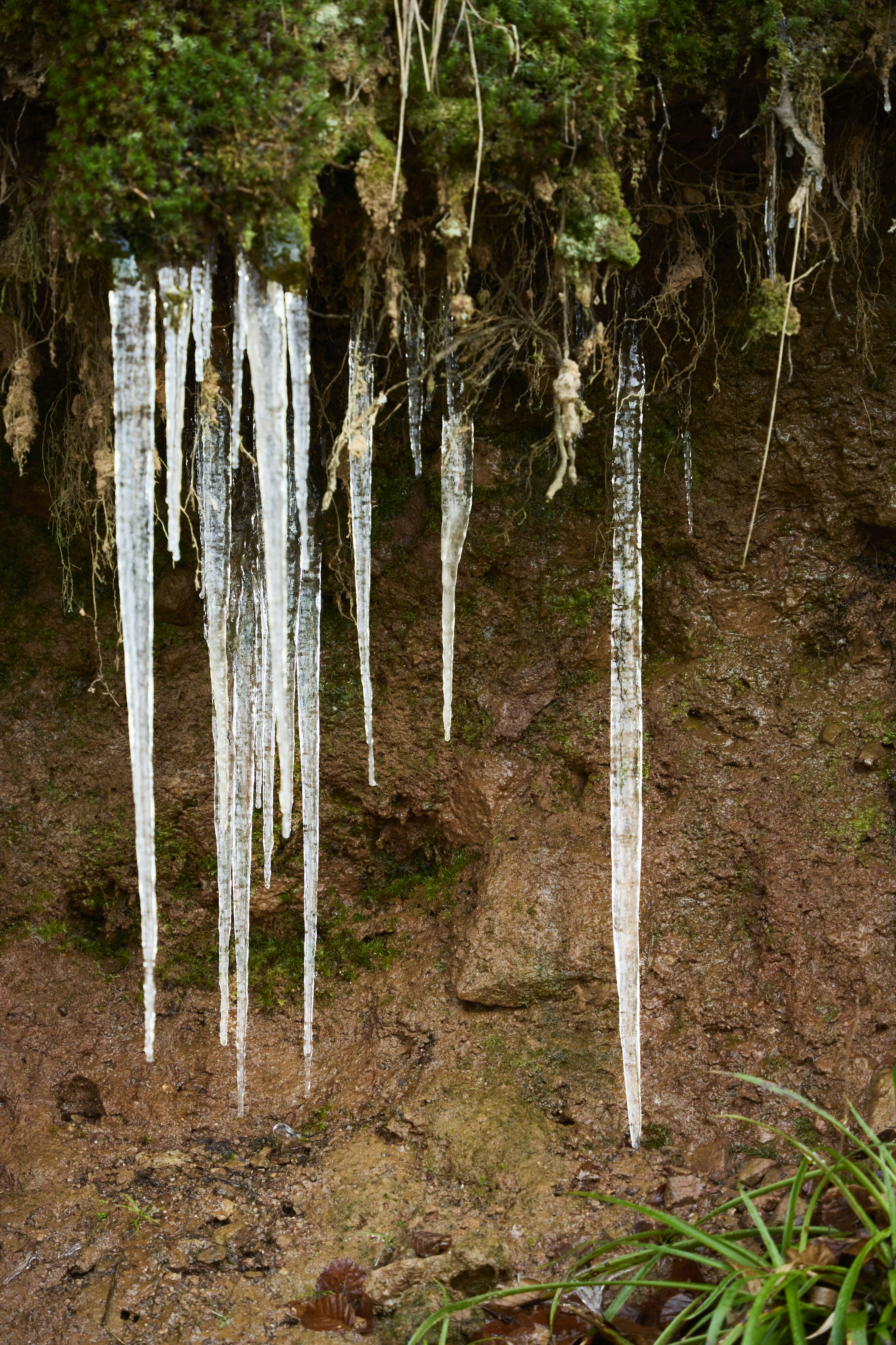Photo by Wolfgang Hasselmann with Sony Alpha 7 IV