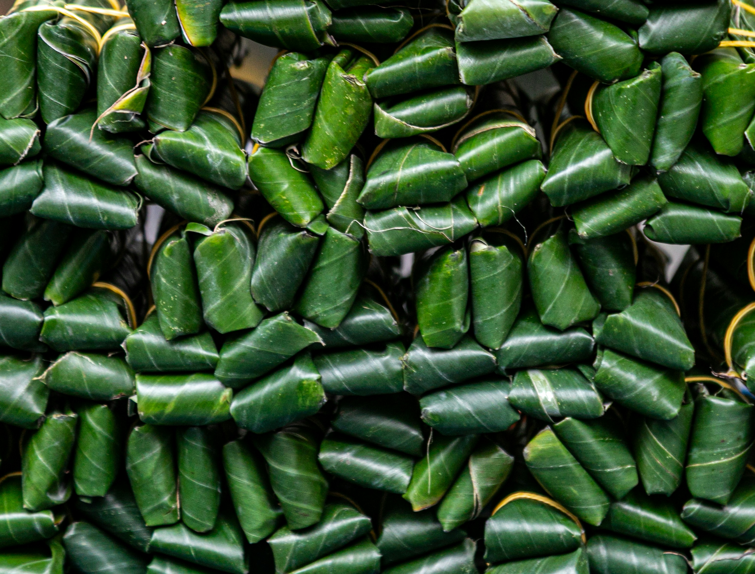 Pressed to Perfection: A Verdant Mosaic of Wrapped Leaves