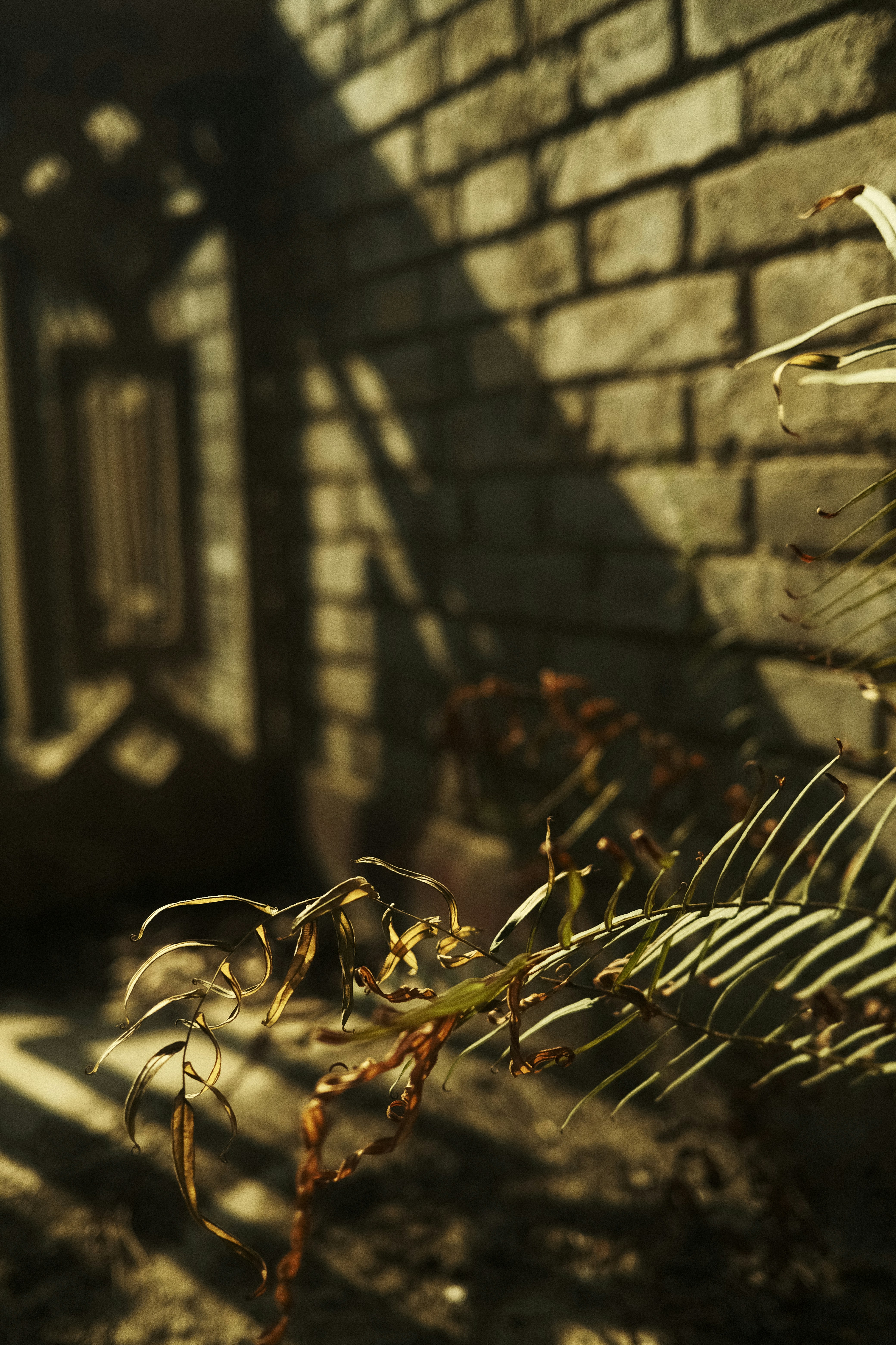 Photo by ZENG YILI with Fujifilm X100V