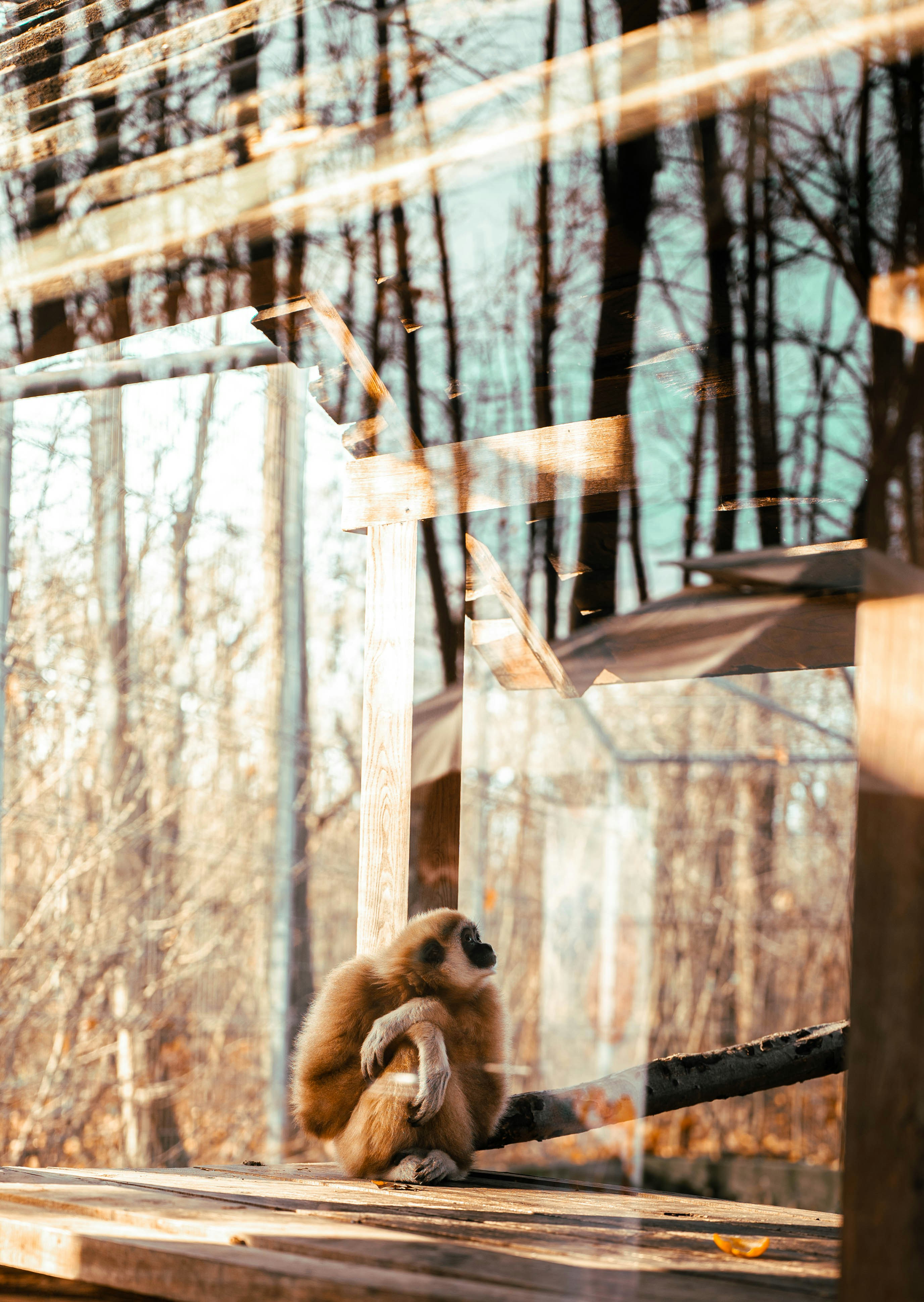 Photo by CS J0ke with Panasonic Lumix S9