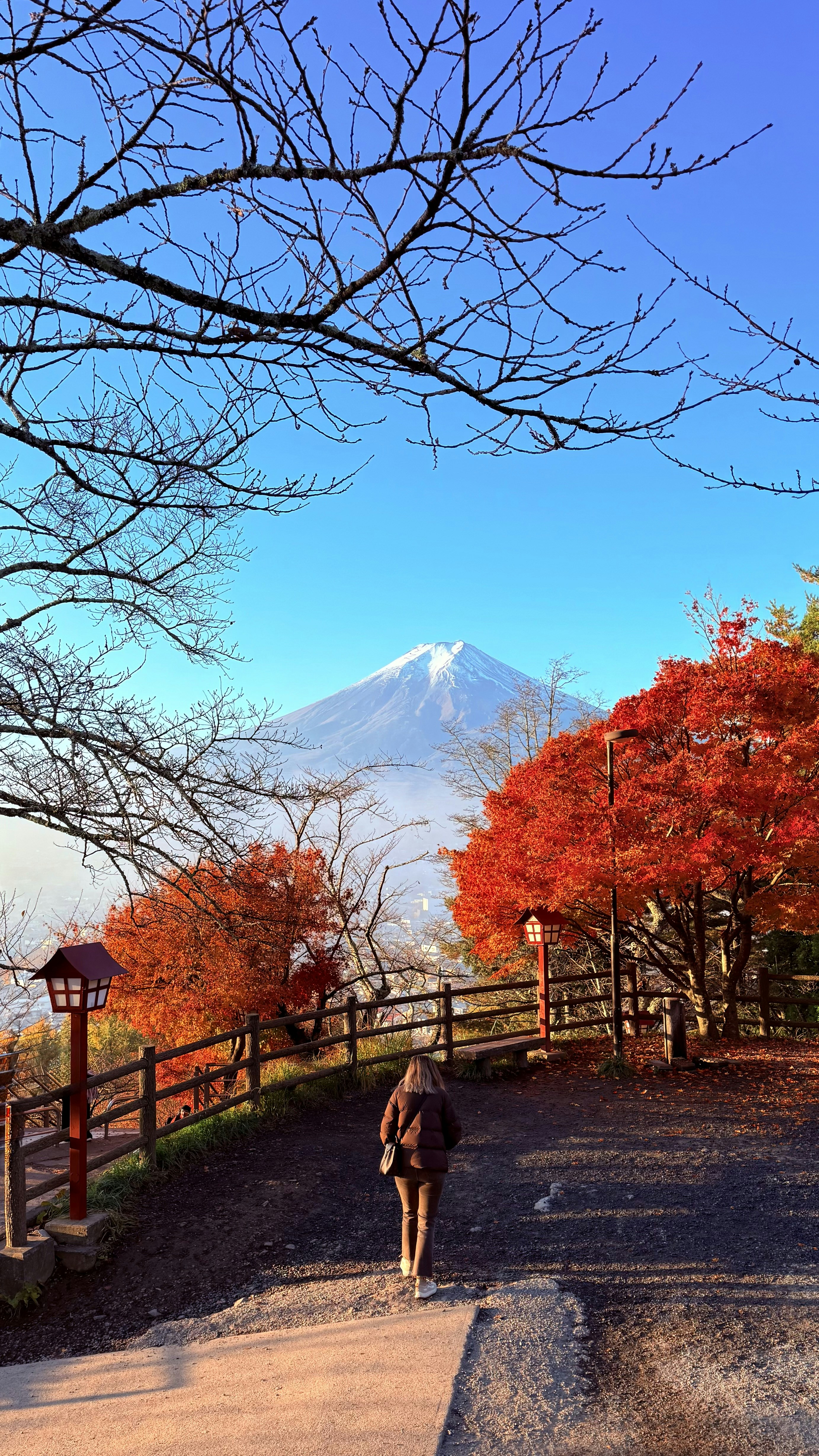 Autumn Trail toward Fuji: A lone walker under a crimson canopy