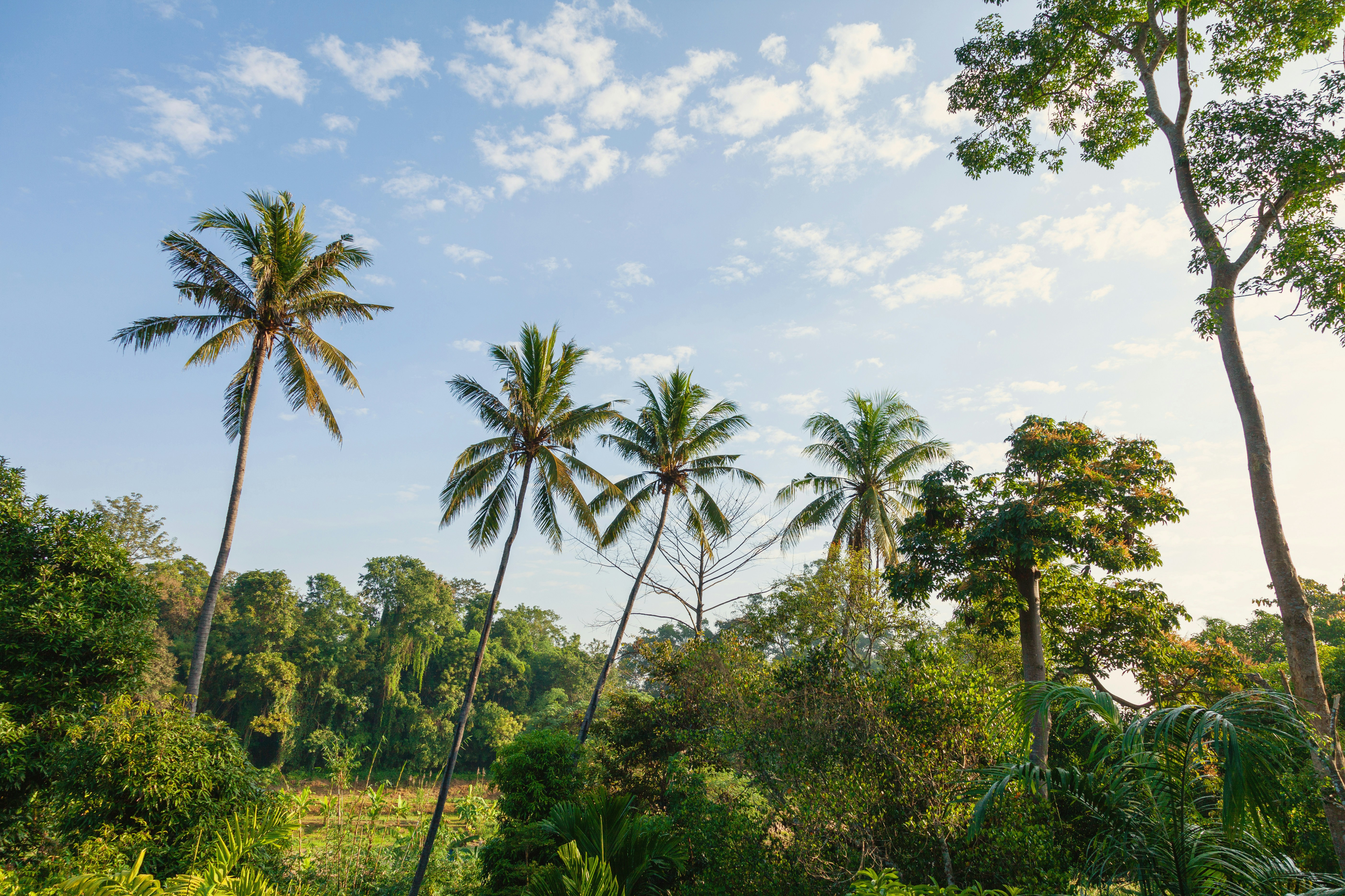 Photo by Rowan Heuvel with Canon EOS 5D Mark II