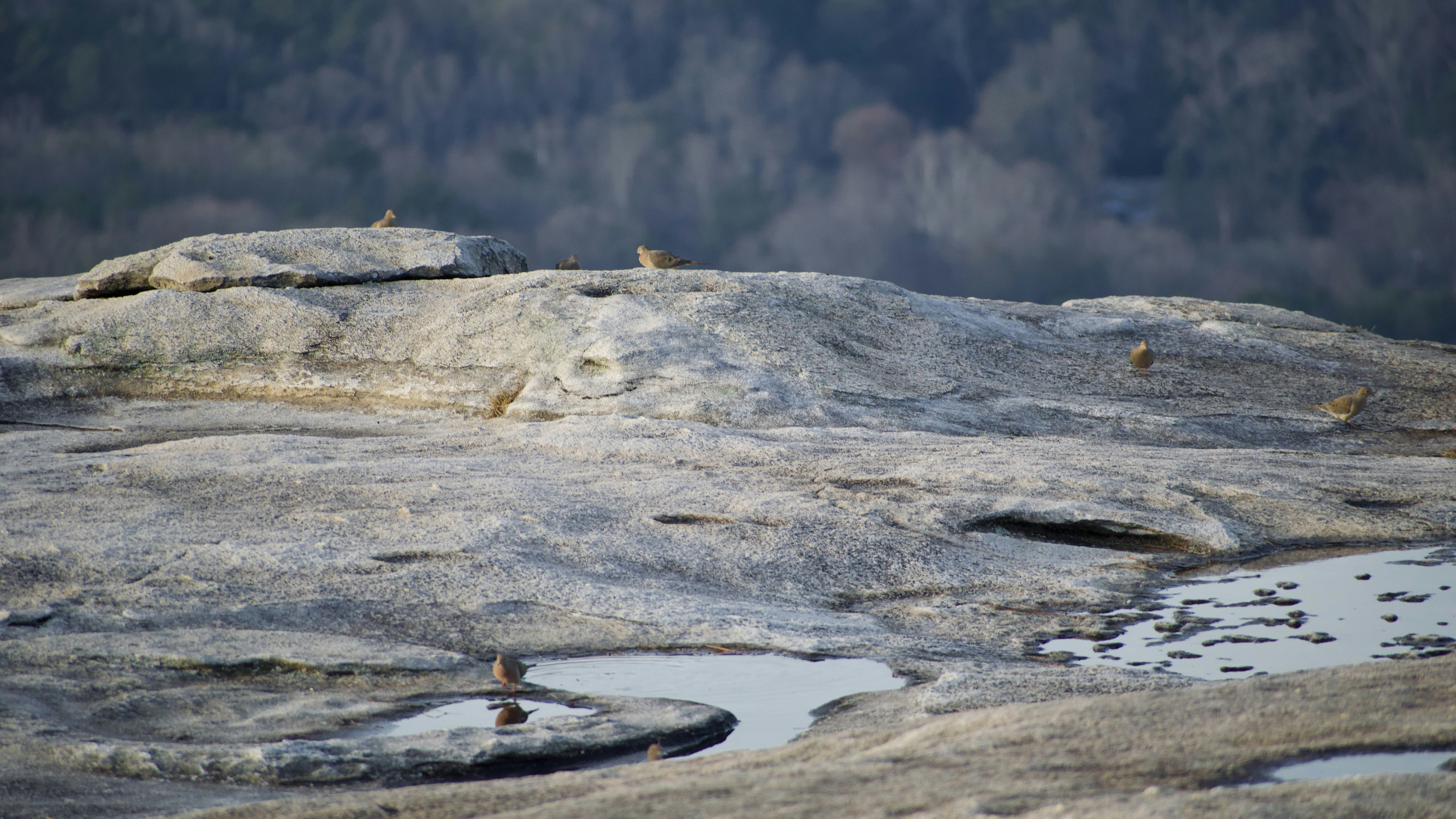Weathered Granite Canvas: Subtle Puddles Reflect the Quiet Horizon