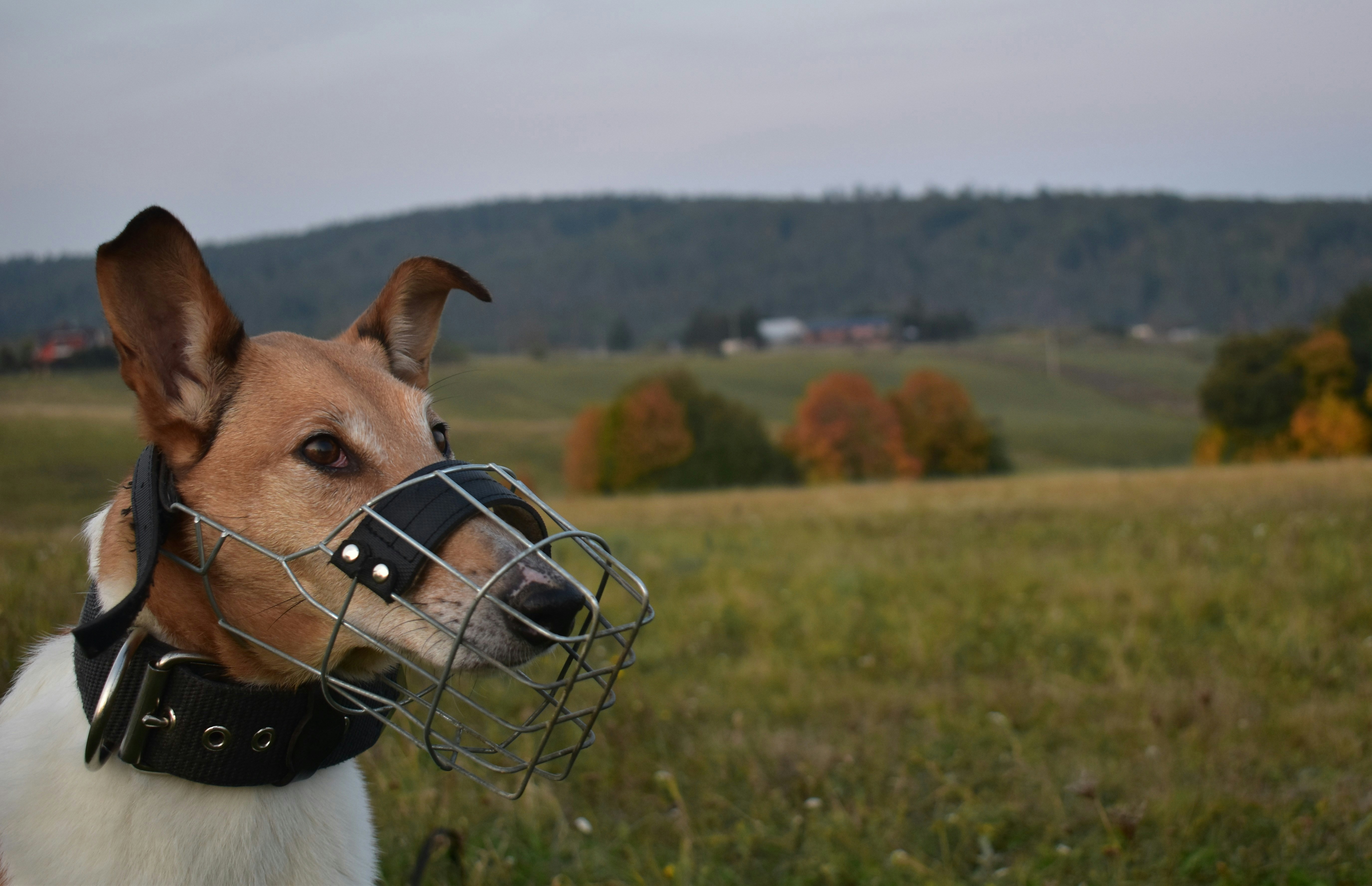 Photo by Sára Sedlmajerová with Nikon D3500