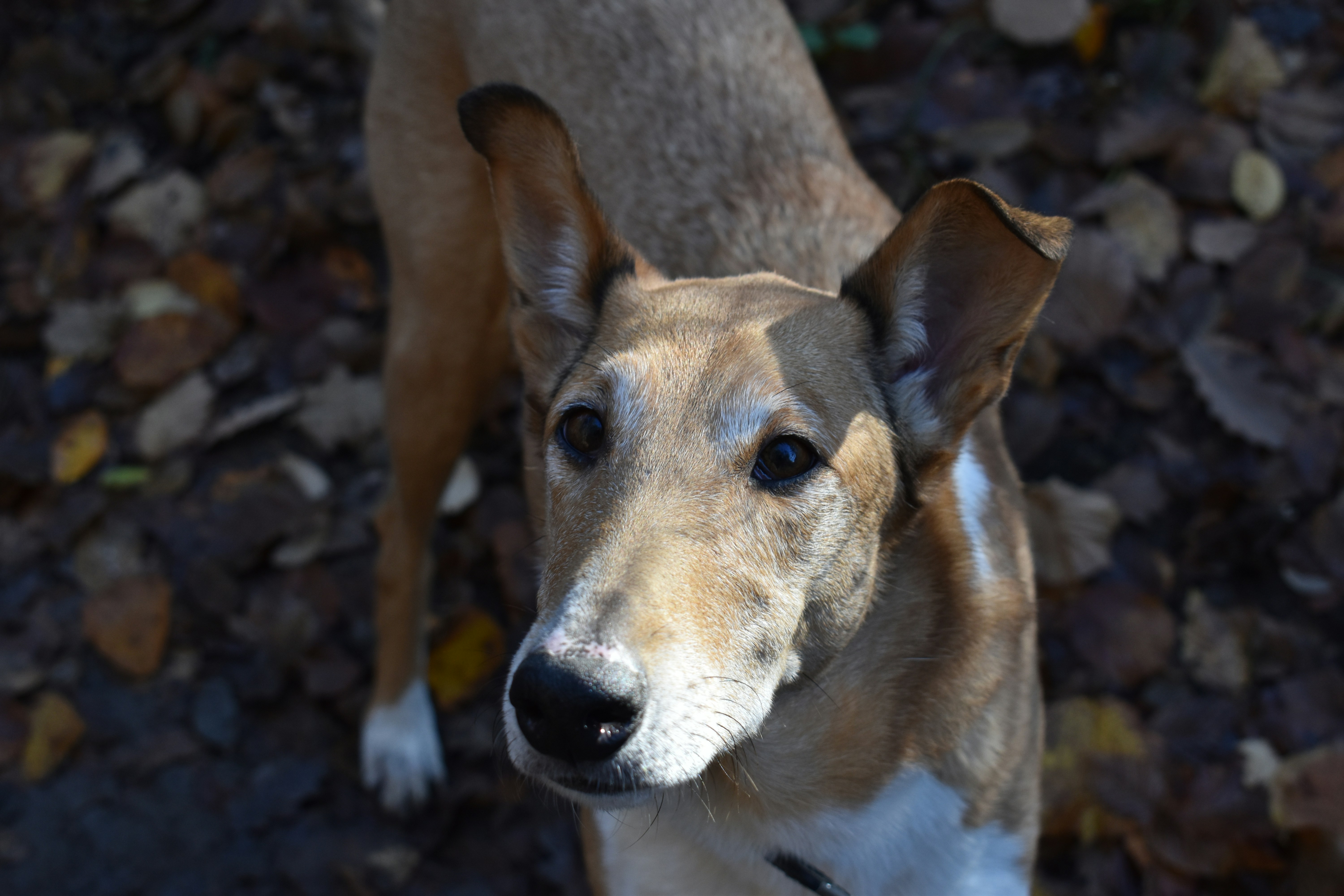 Photo by Sára Sedlmajerová with Nikon D3500