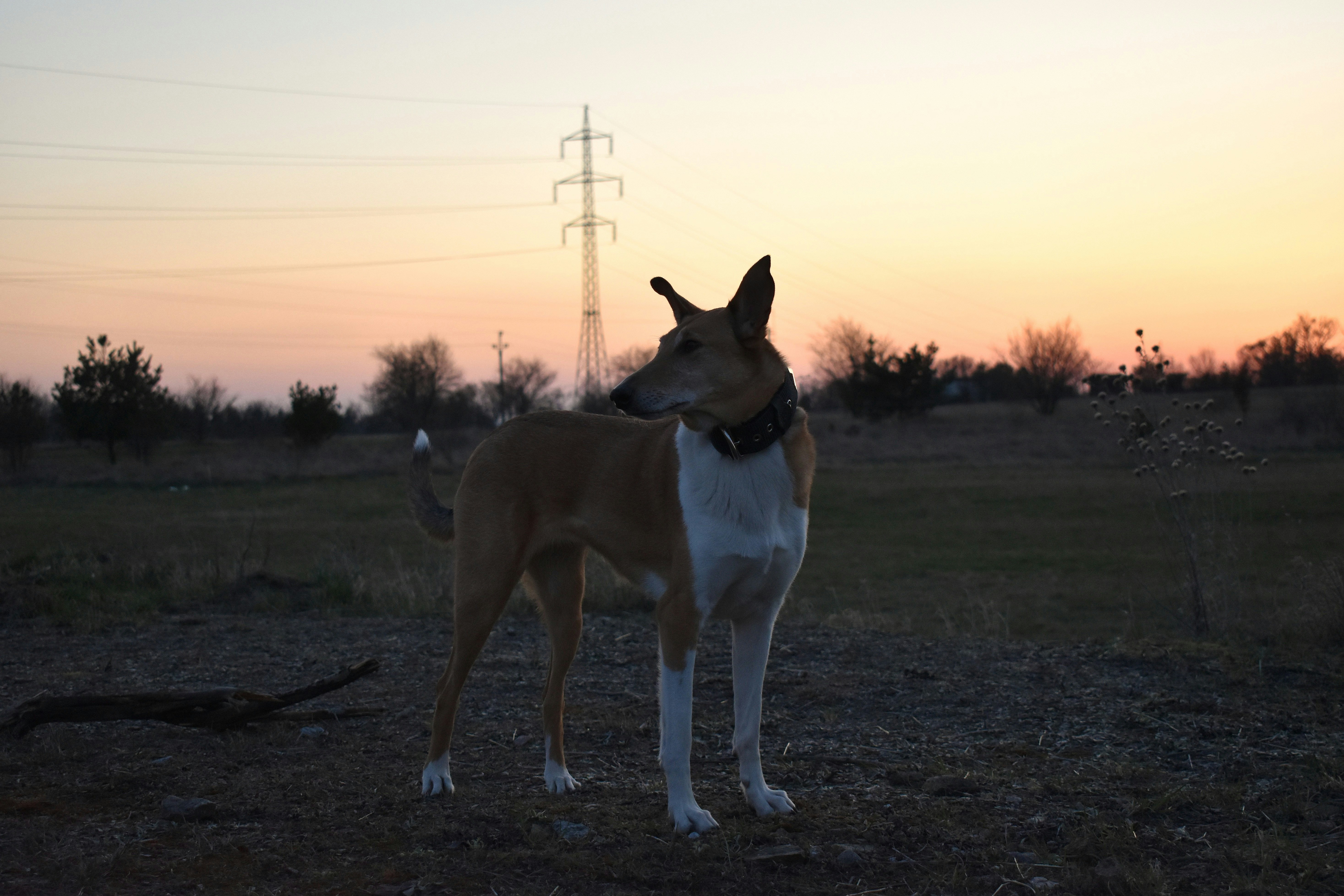 Photo by Sára Sedlmajerová with Nikon D3500