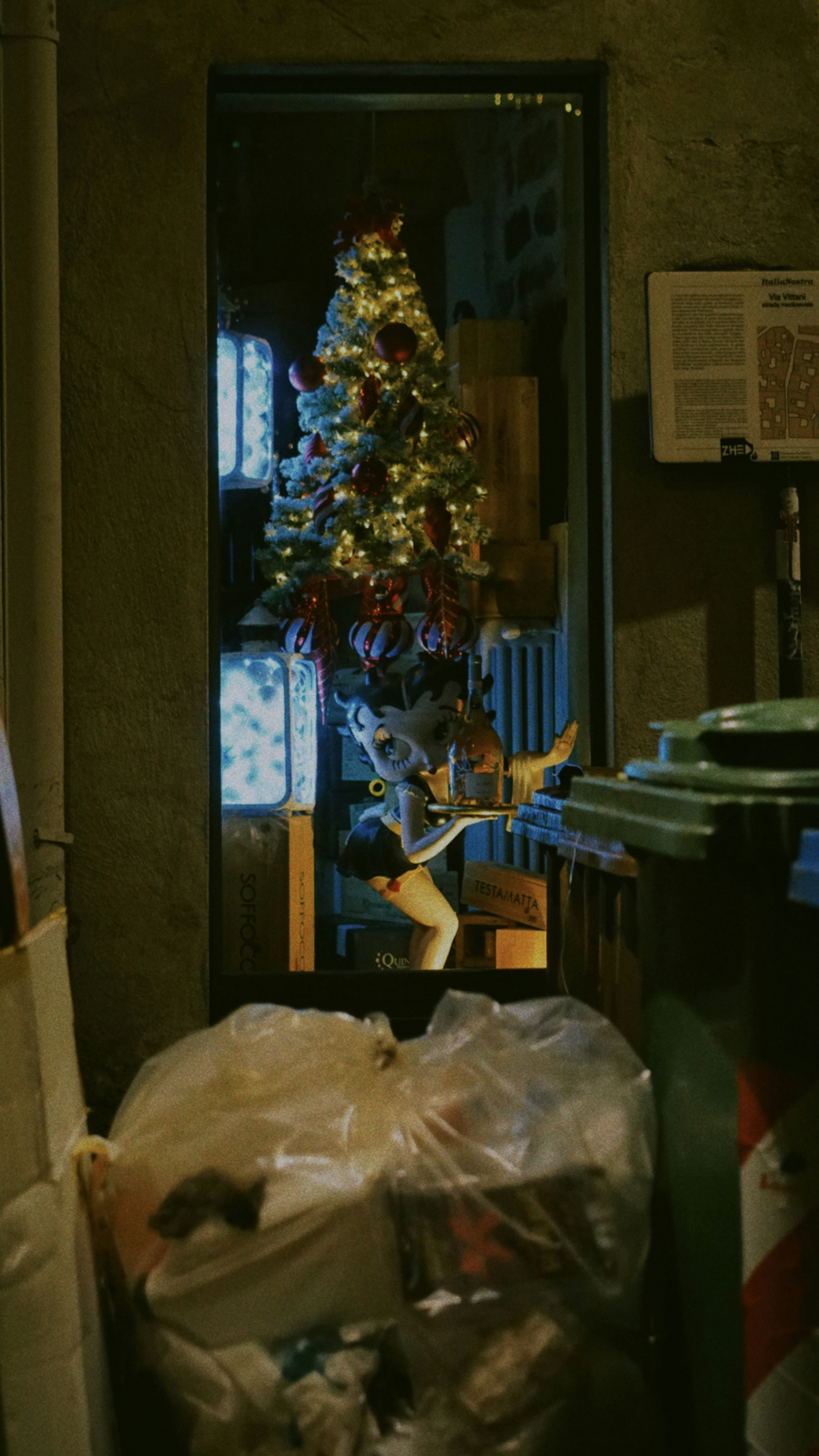 Photo by T. Selin Erkan with Sony Alpha 6300