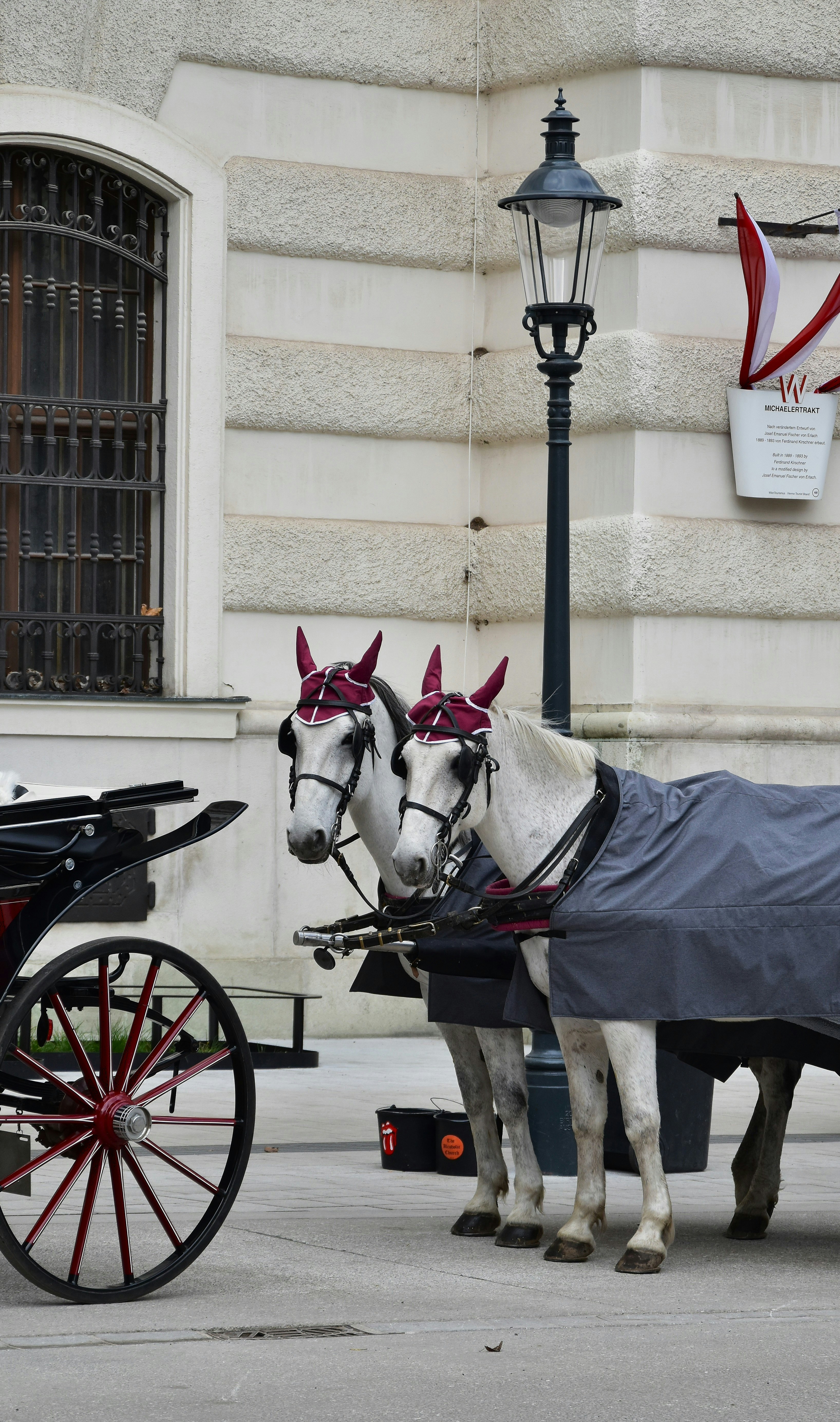 Photo by Sára Sedlmajerová with Nikon D3500