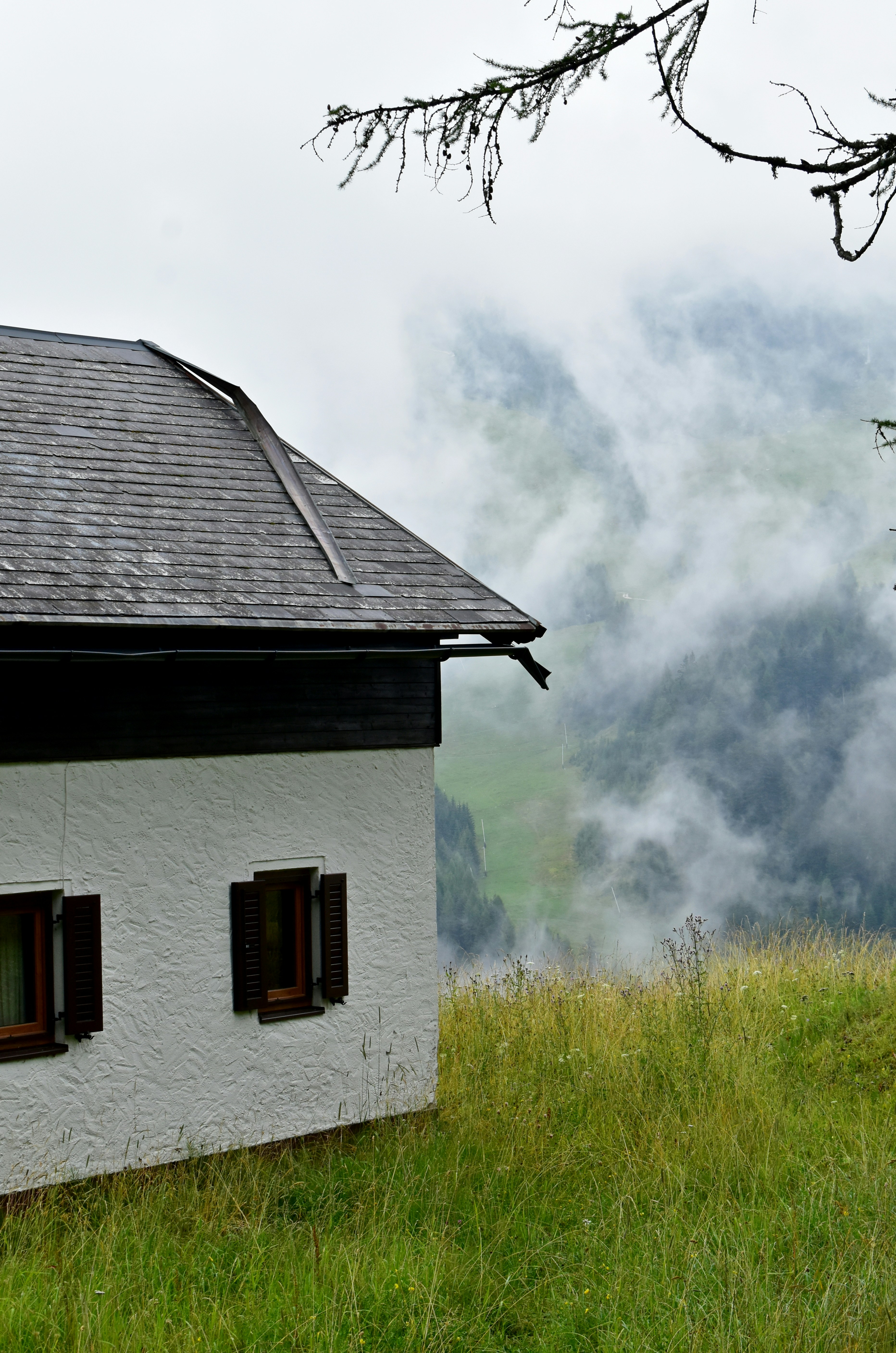 Alpine Cabin at the Edge of Misty Valley