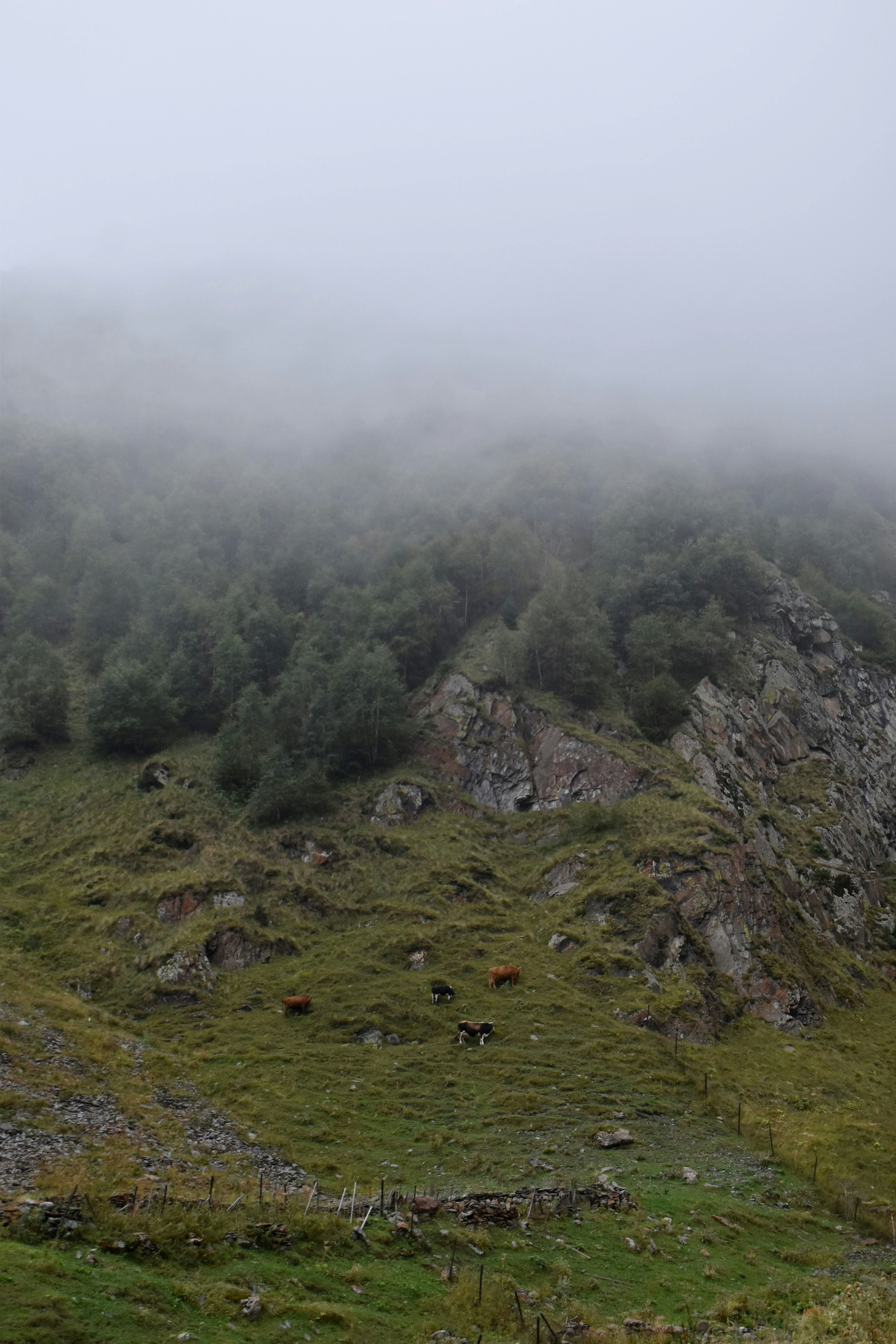 Mist over the Highland Ridge
