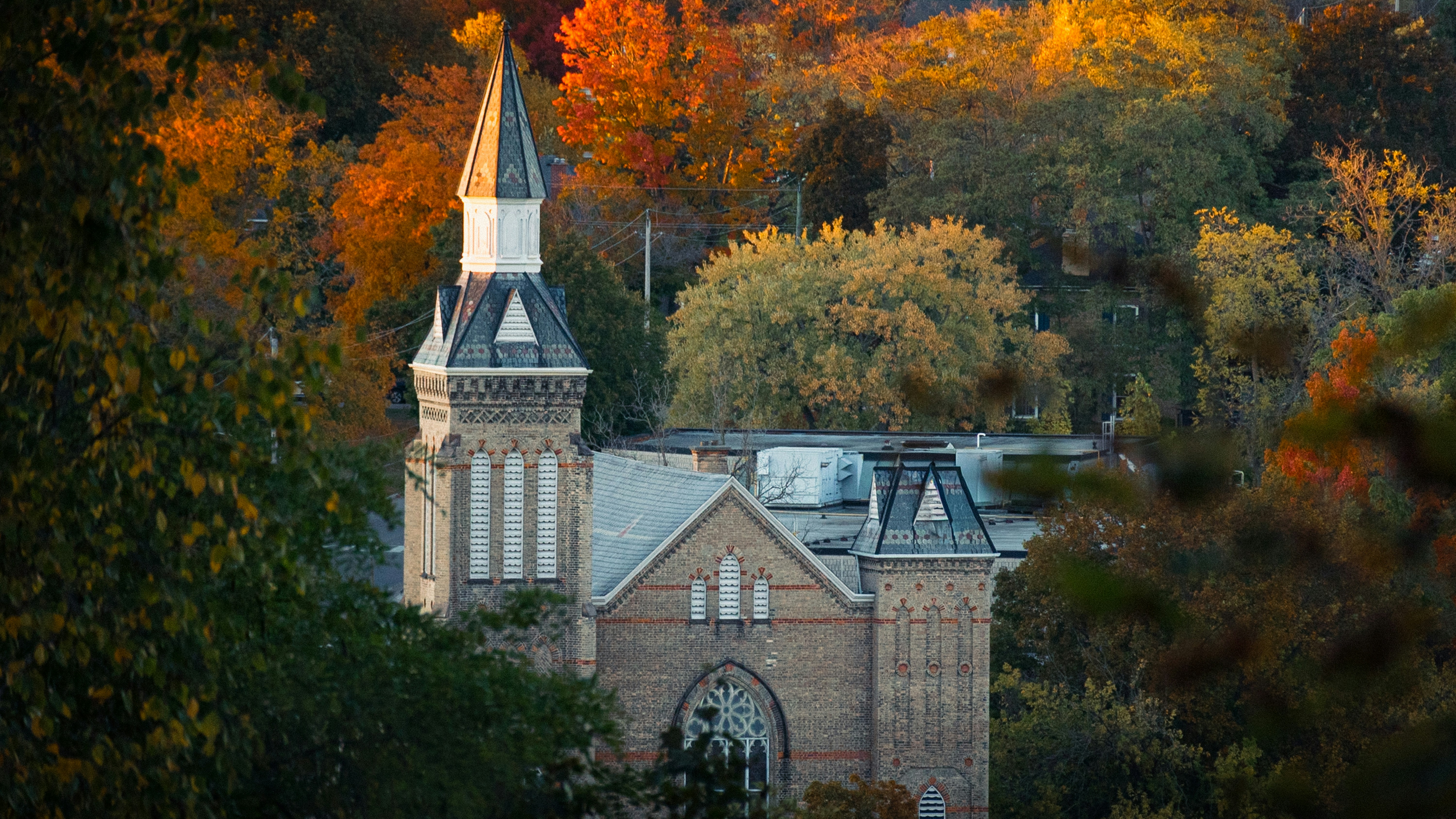 Photo by Oleg Bersenev with Canon EOS M50