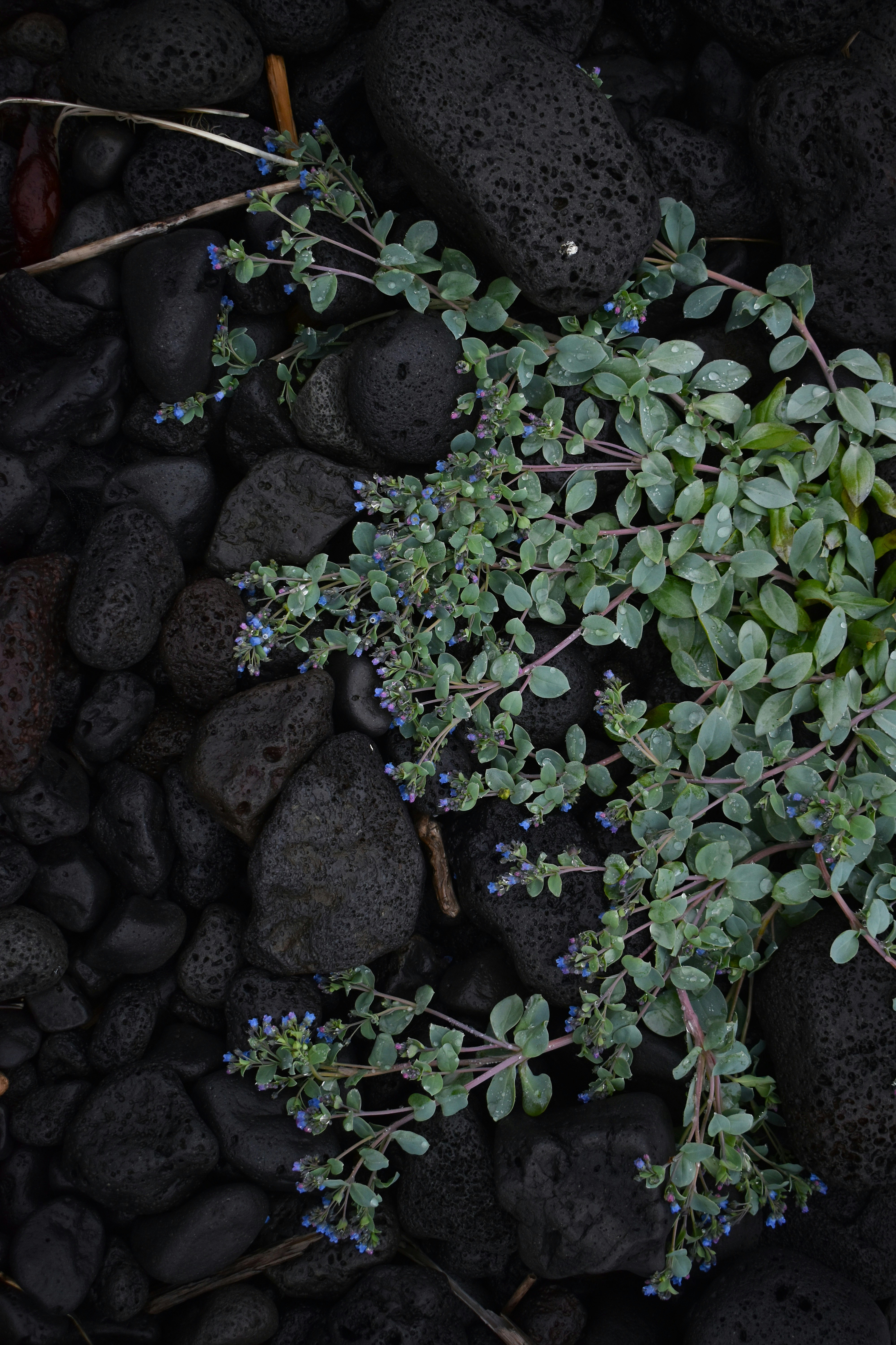 Photo by Sára Sedlmajerová with Nikon D3500