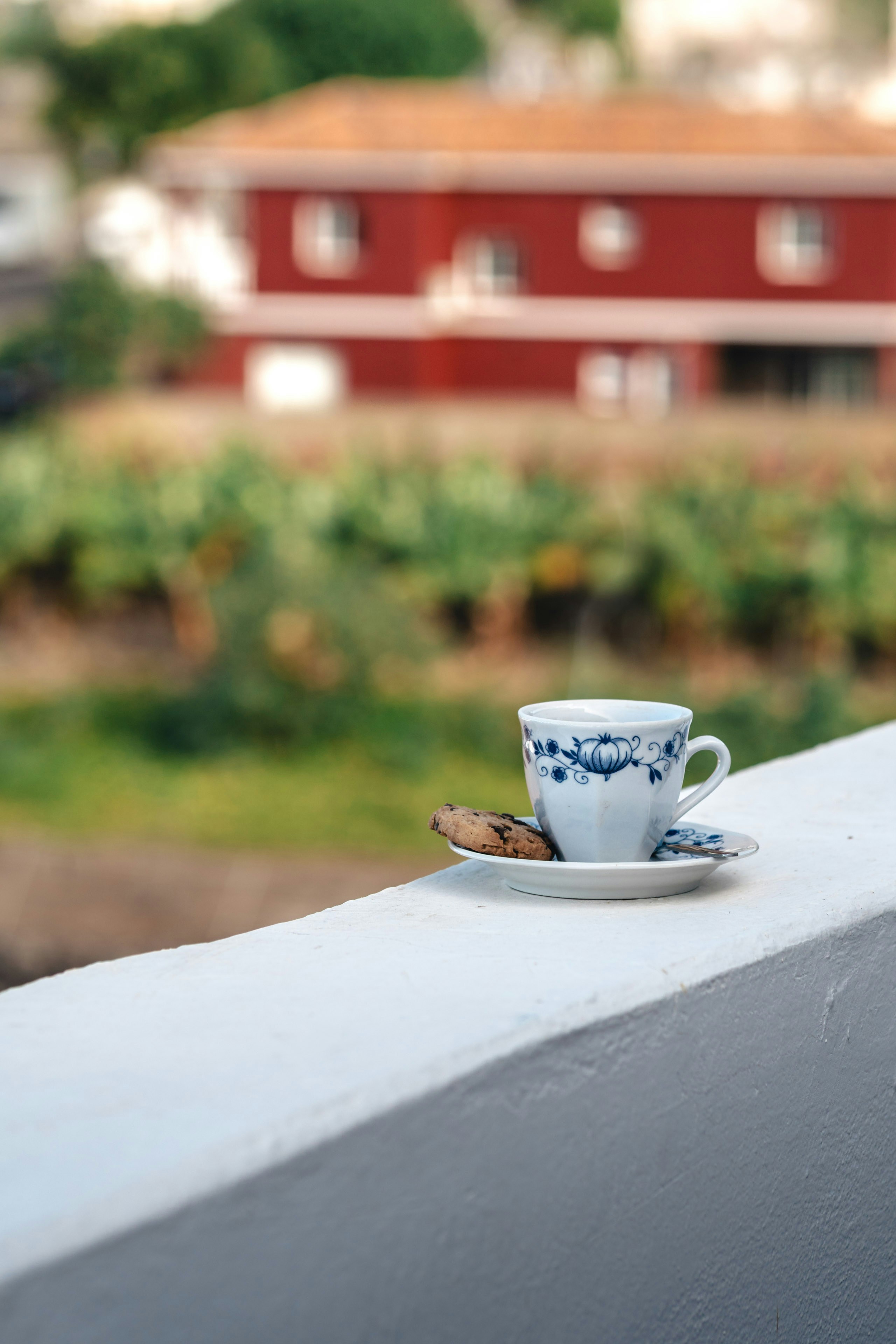 A delicate blue-patterned cup and saucer rest on a white ledge, accompanied by a cookie, with a softly blurred garden and building in the background. Natural light creates a peaceful, inviting scene ideal for themes of relaxation, lifestyle, morning routines, and outdoor refreshment.