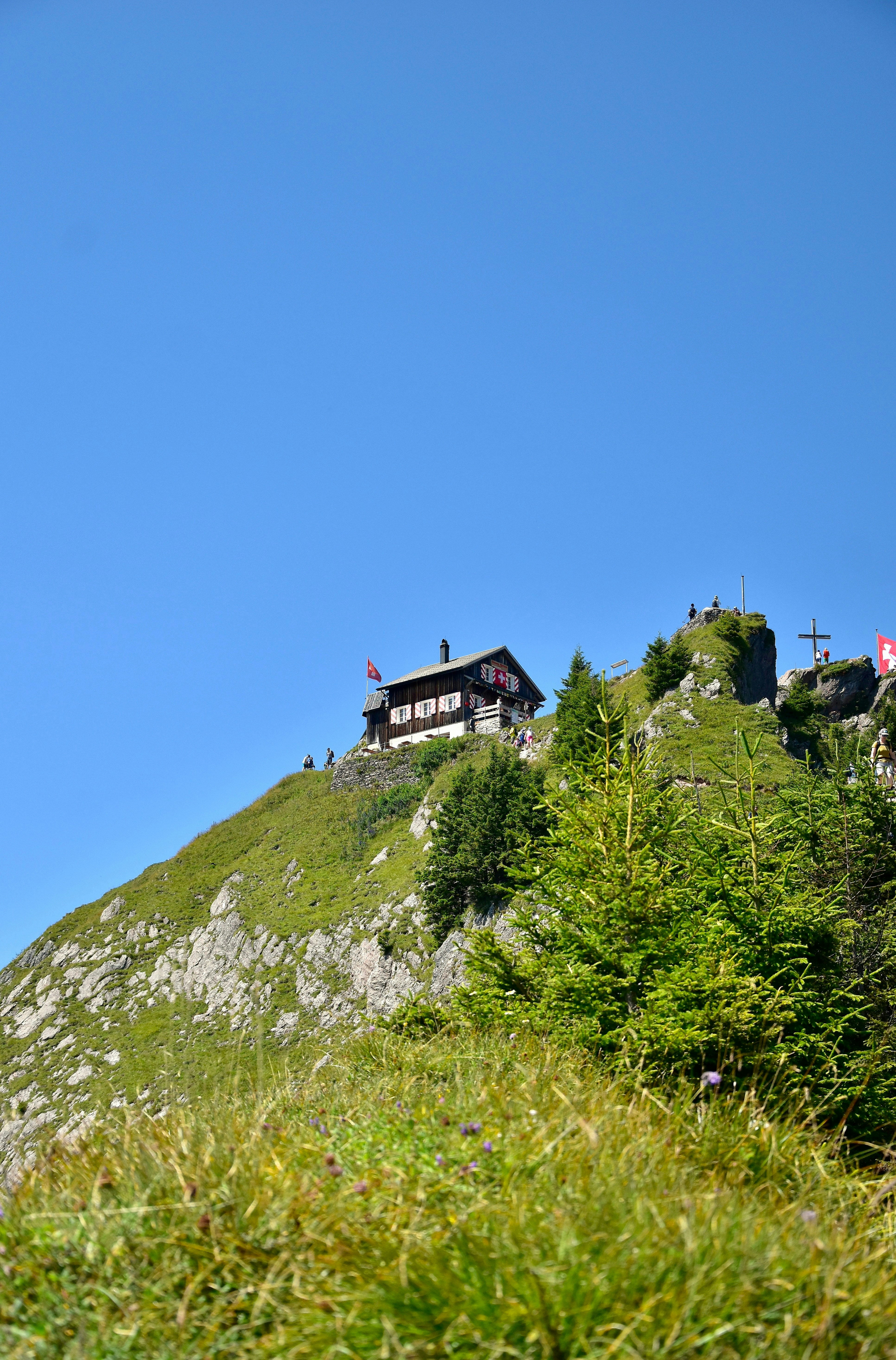 Alpine Hut Perched Above the Meadow Ridge