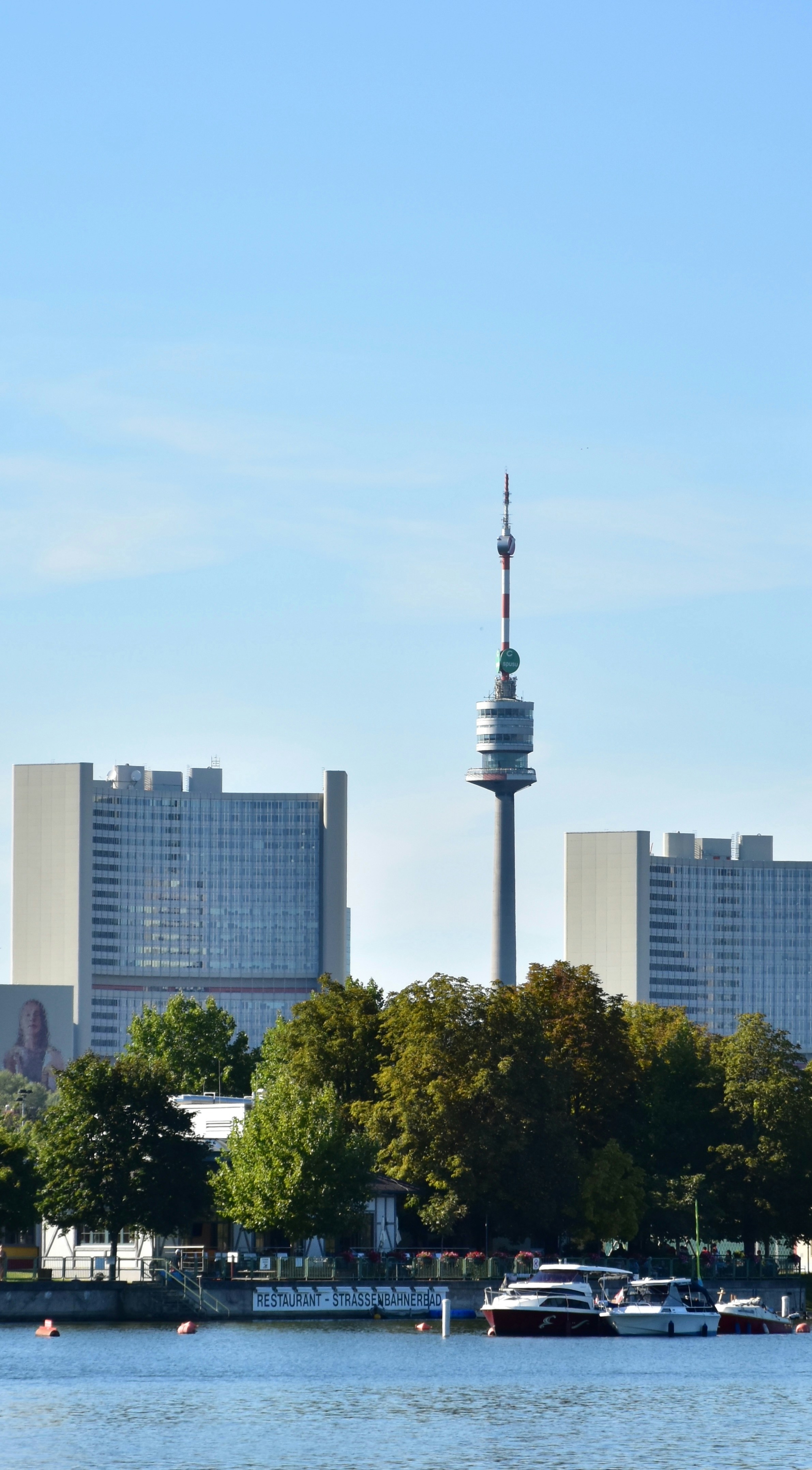 Telecom Tower Above the Riverside Forest