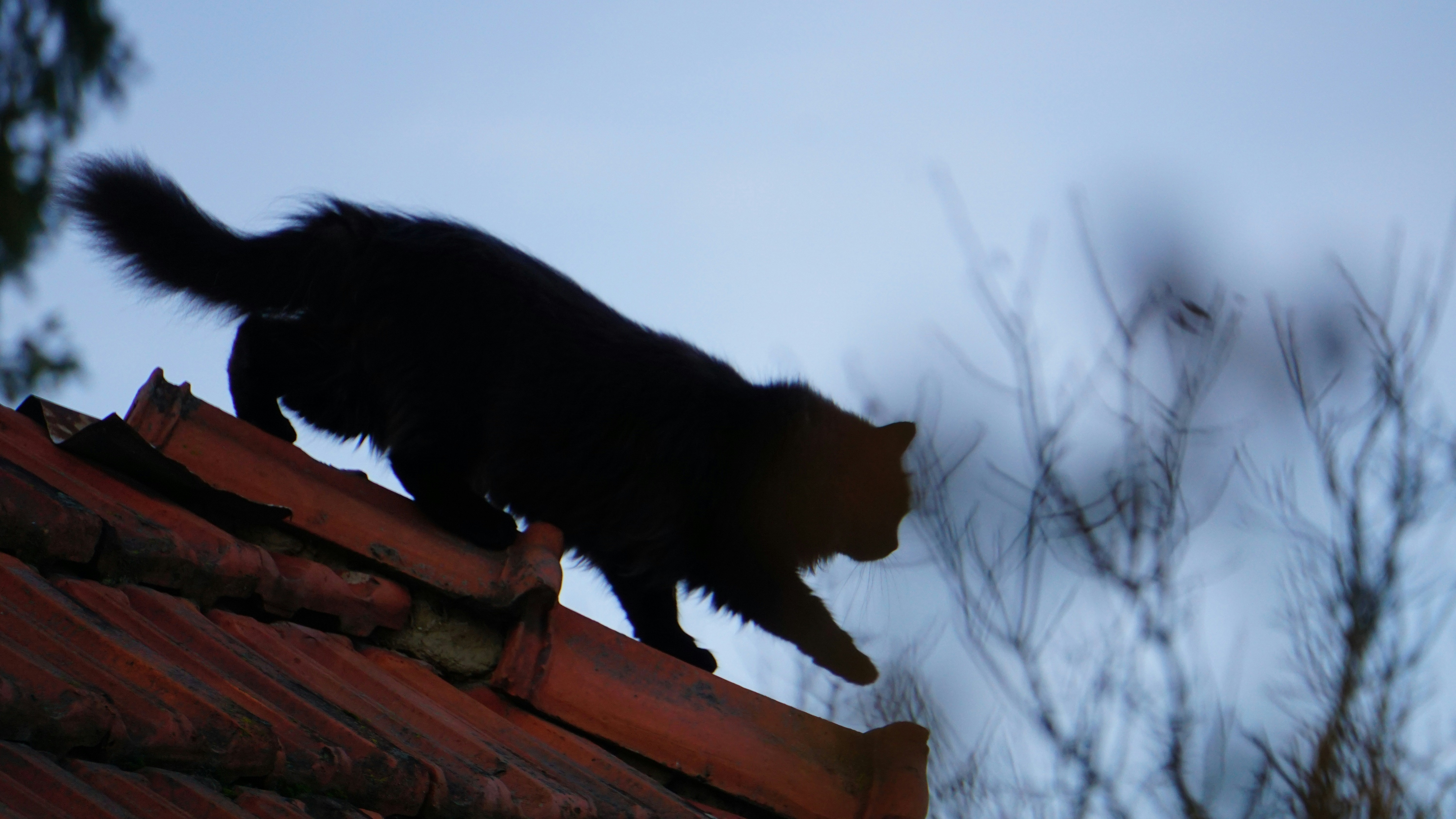 Photo by Dmytro Glazunov with Sony Alpha 6000