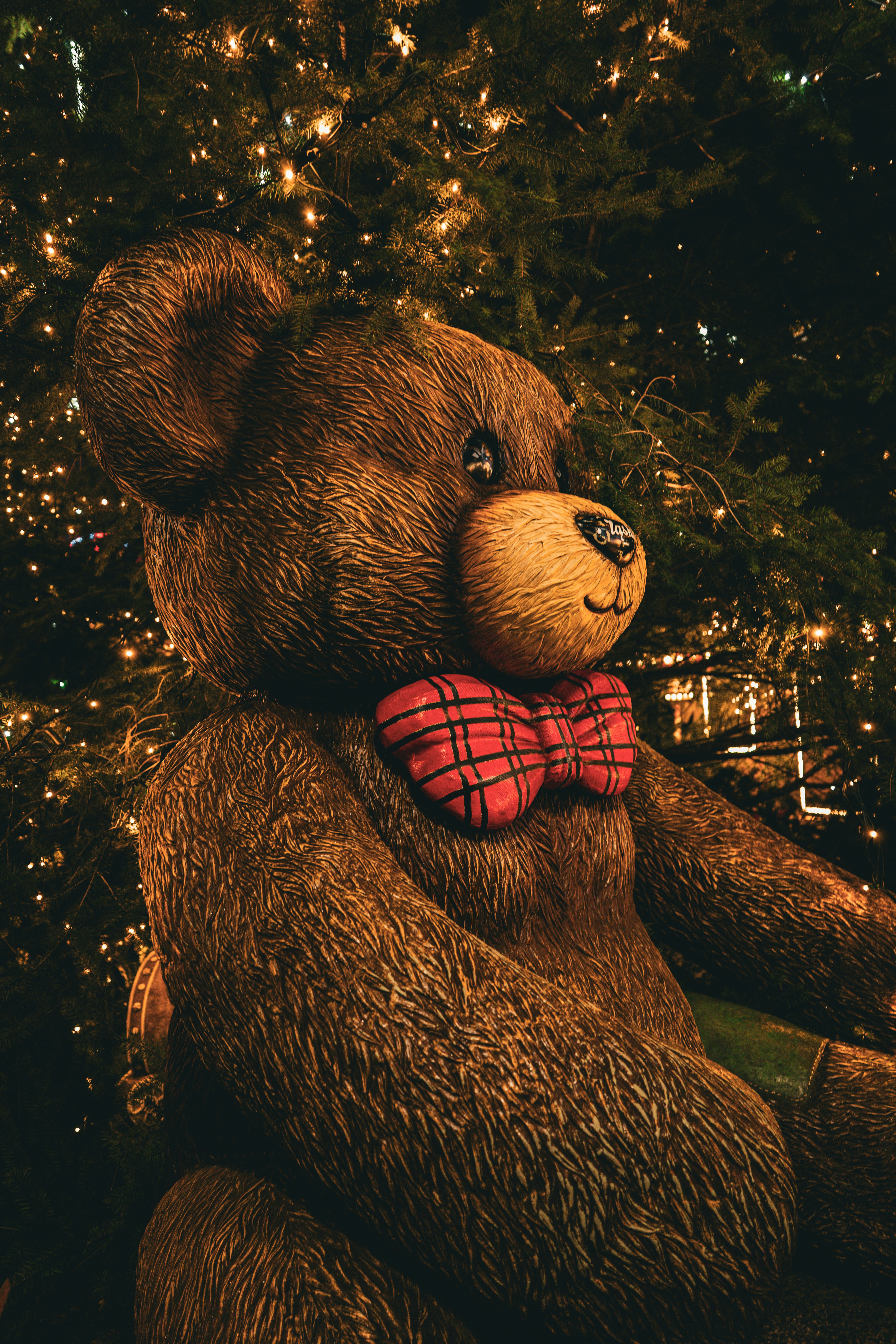 Cozy Christmas Teddy Beneath Velvet Lights