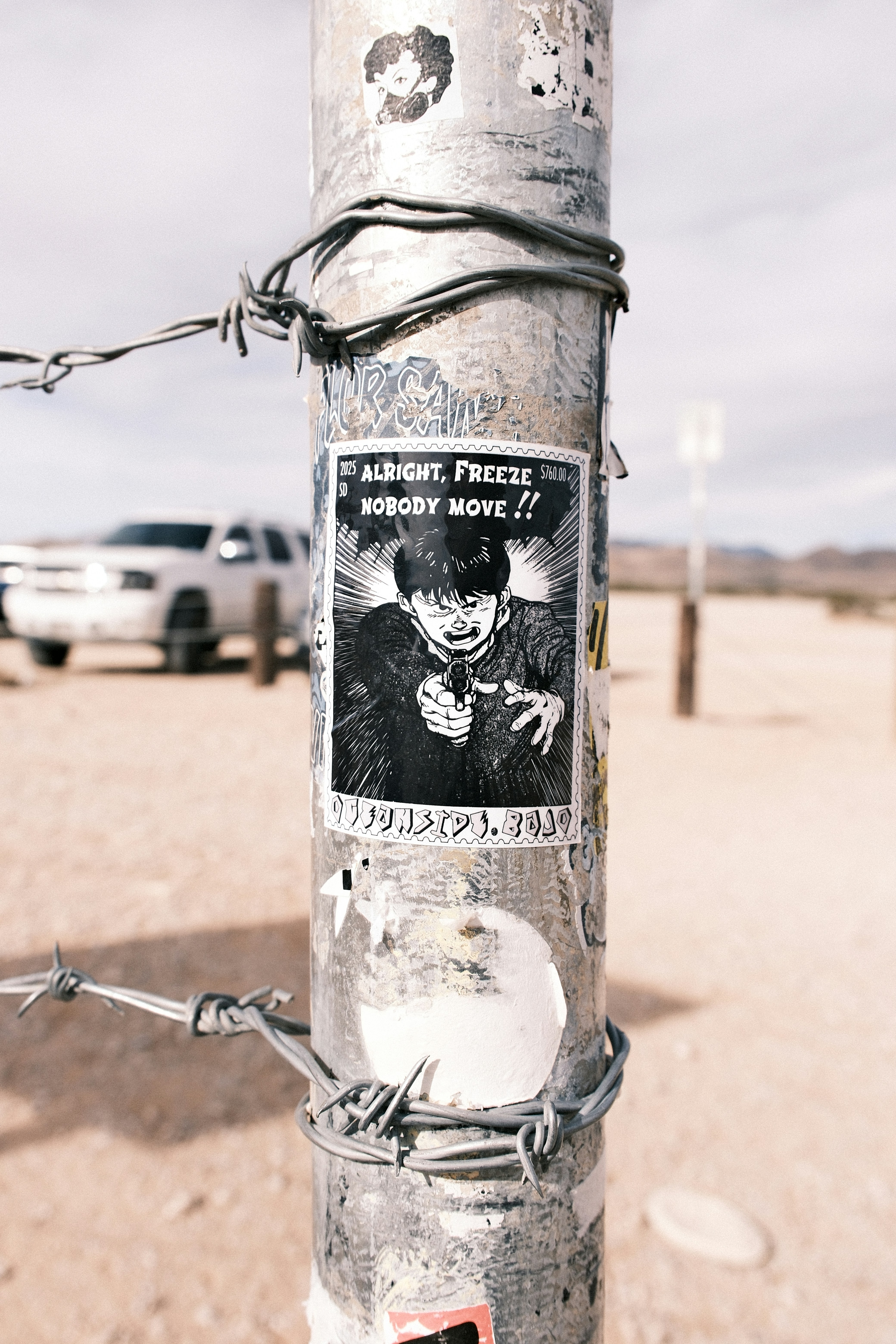 Stickered Post in Desert Light: A Quiet Tale of Barbed Dissent