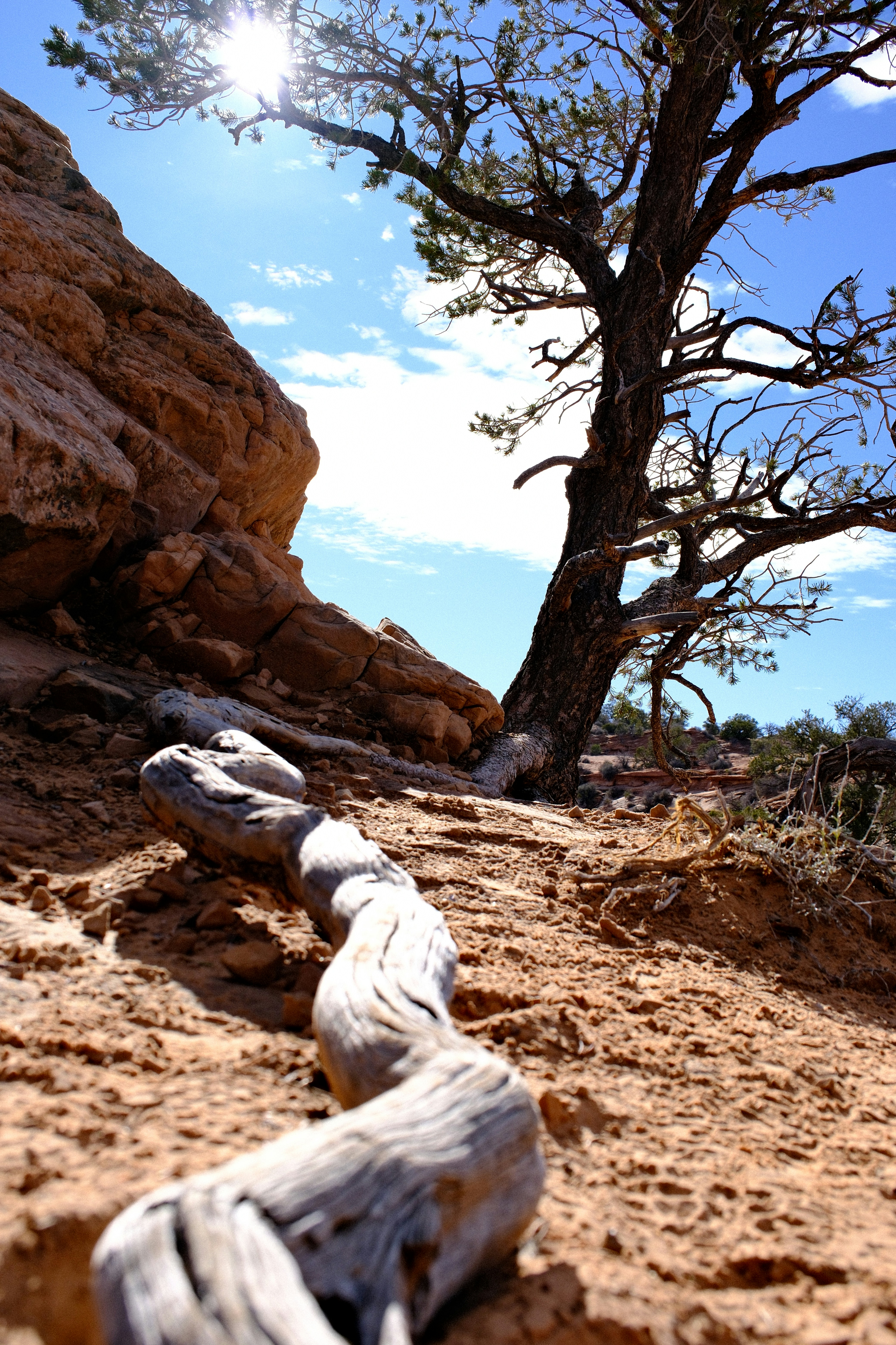 Photo by Yuky Y with Fujifilm X-M5