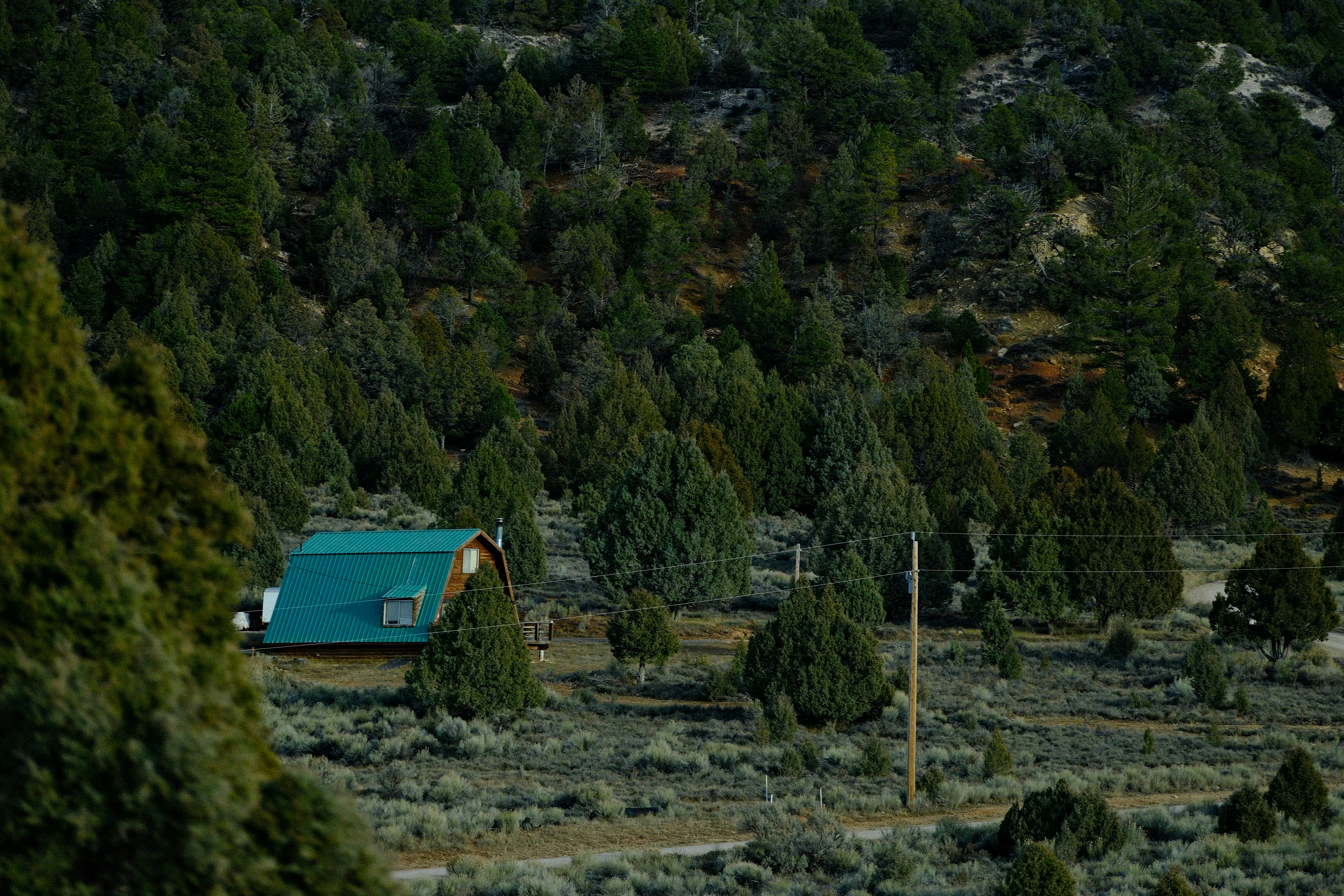 Blue-roofed cabin tucked among pines on a mountain slope