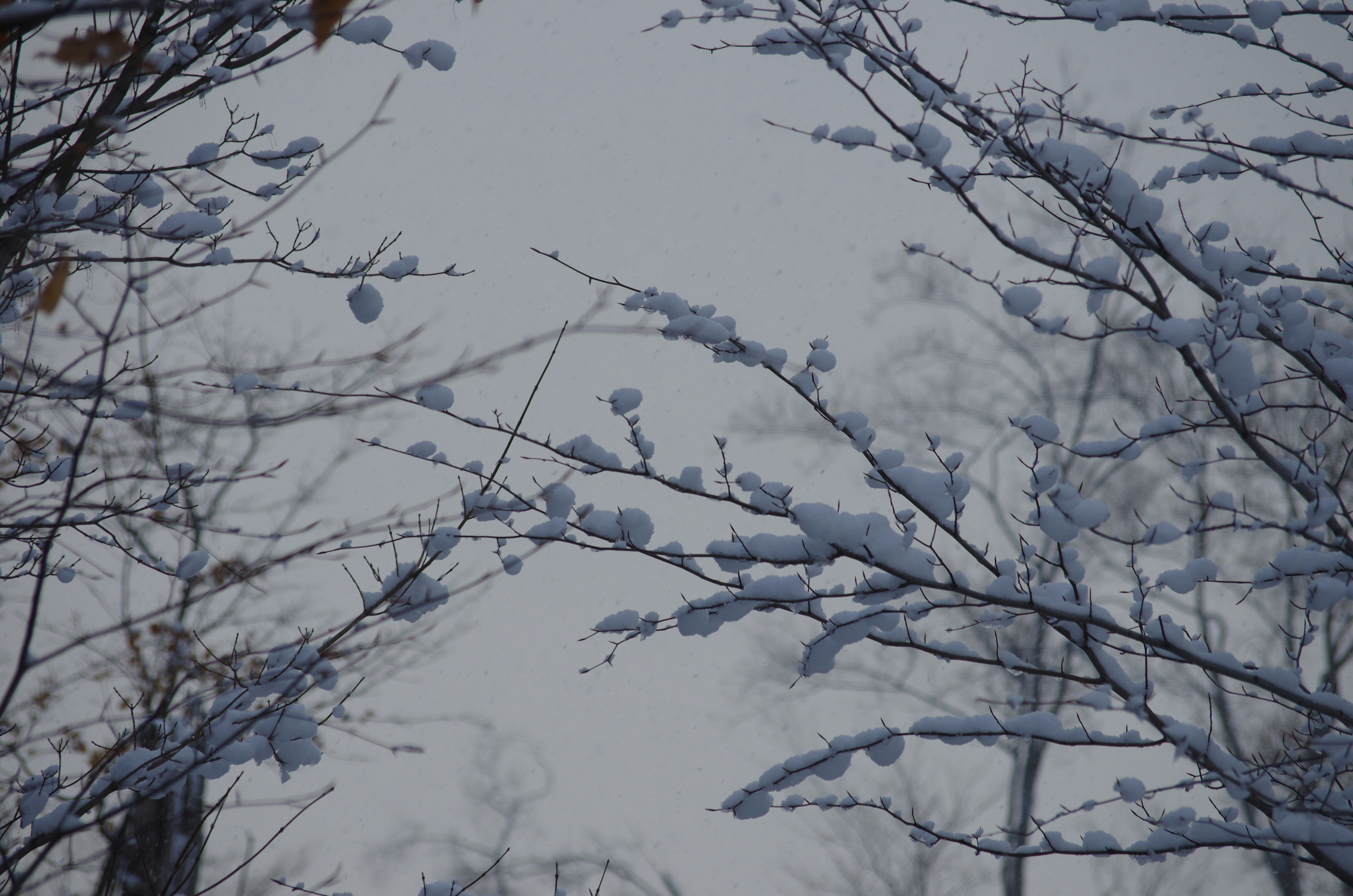 Photo by DD Wido with Pentax K-5