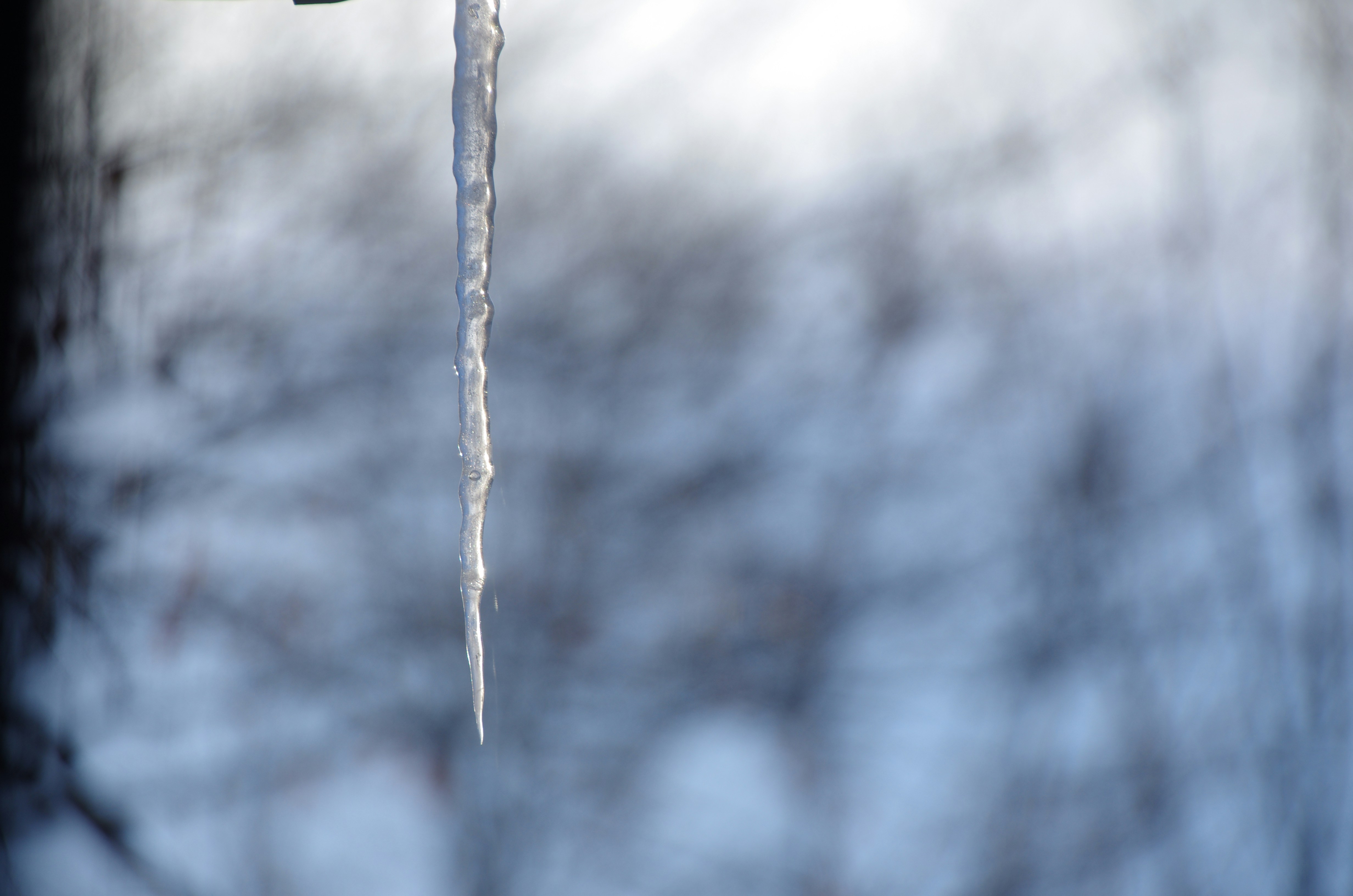 Photo by DD Wido with Pentax K-5