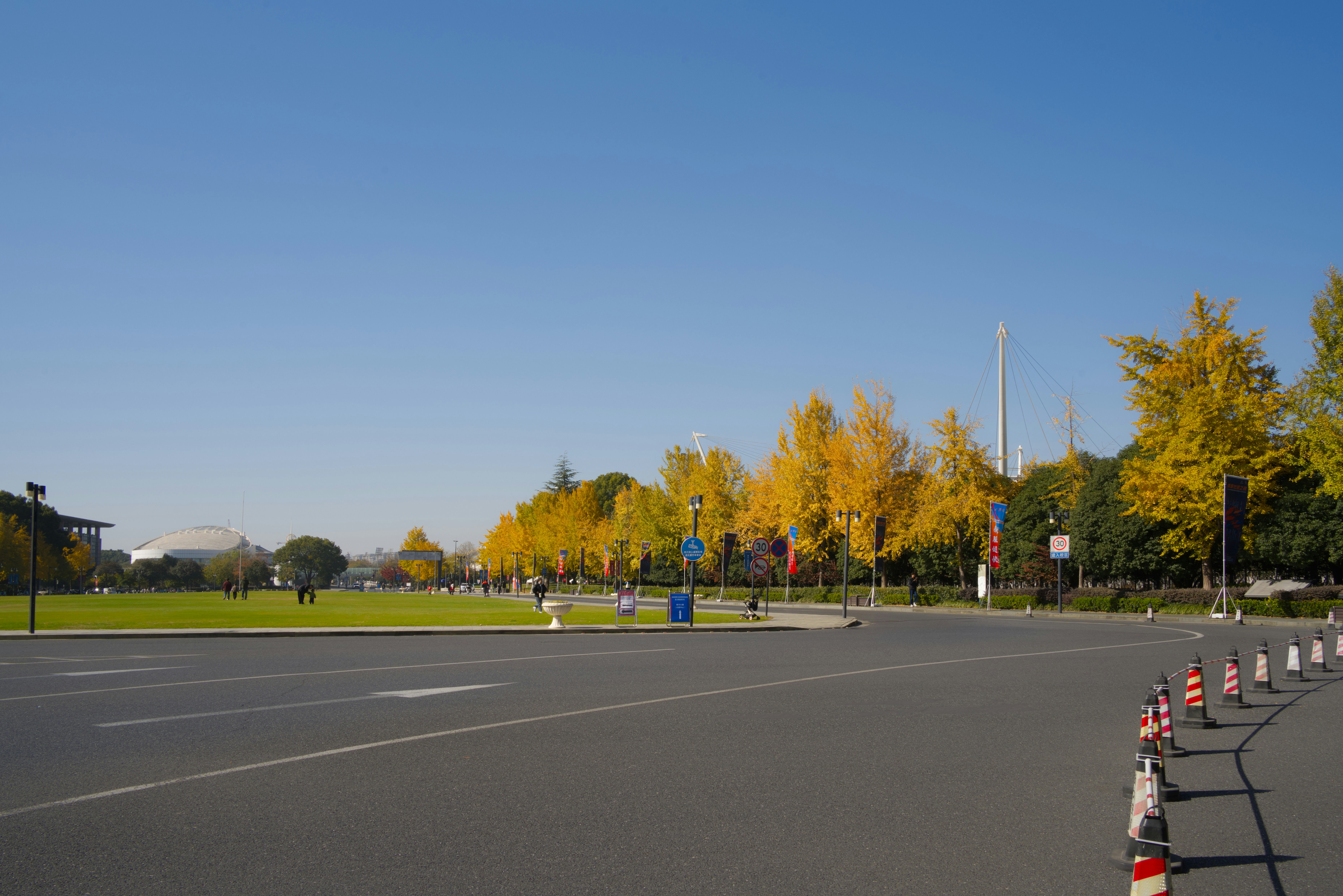 Autumn Avenue: A Quiet Road Through Fall Colors