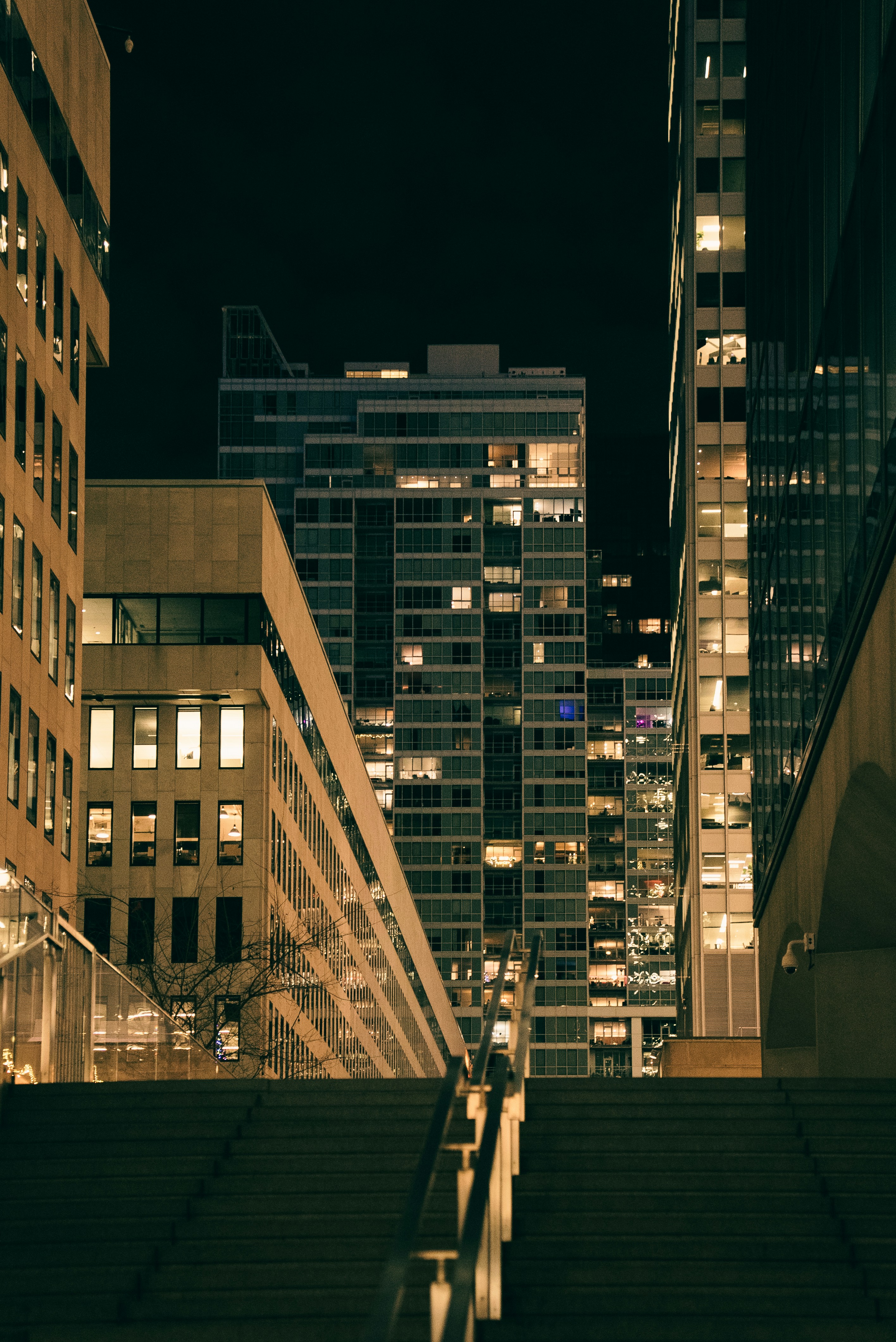 Photo by Erik Mclean with Sony Alpha 7S III