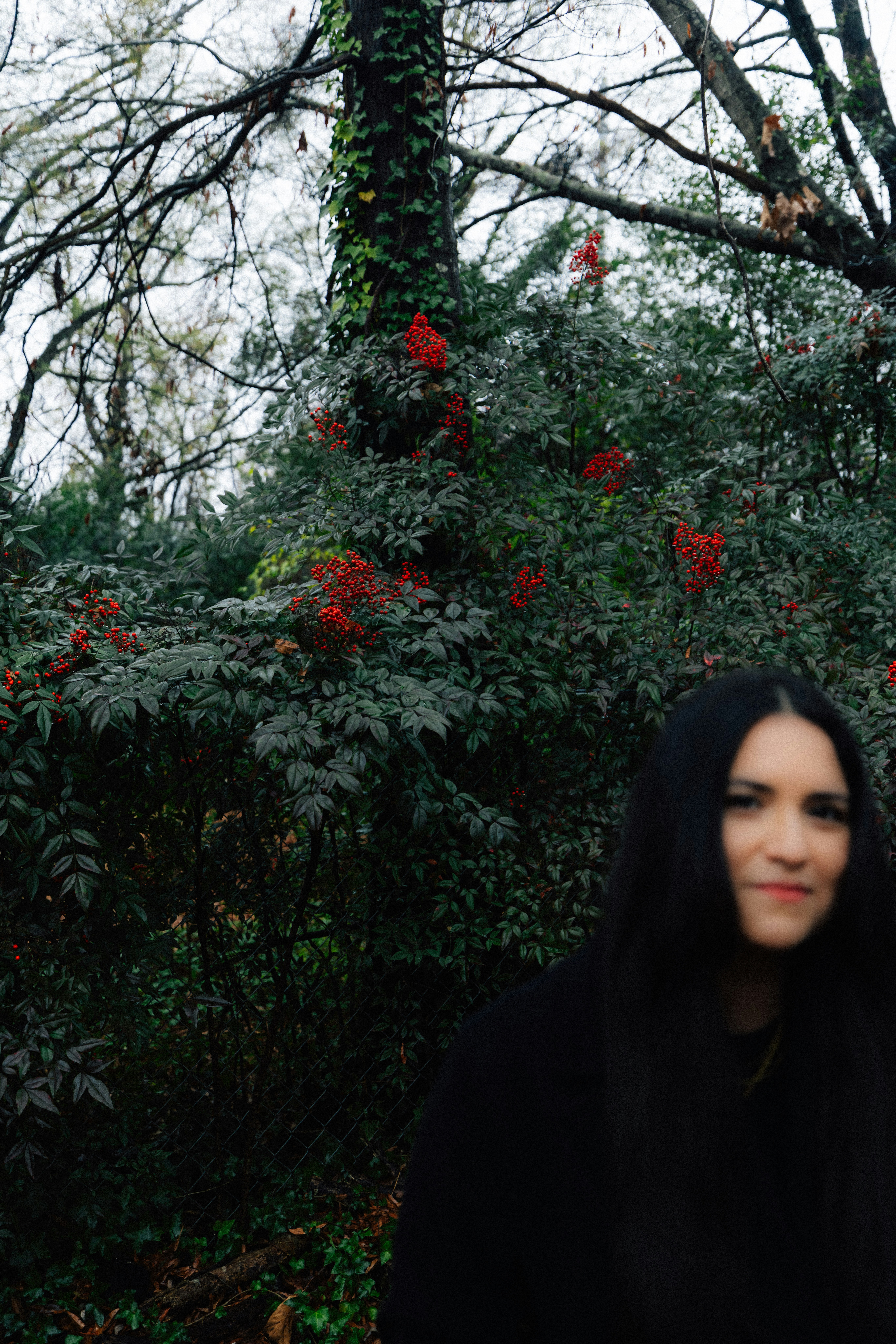Blurred Portrait in a Hedge of Red Berries