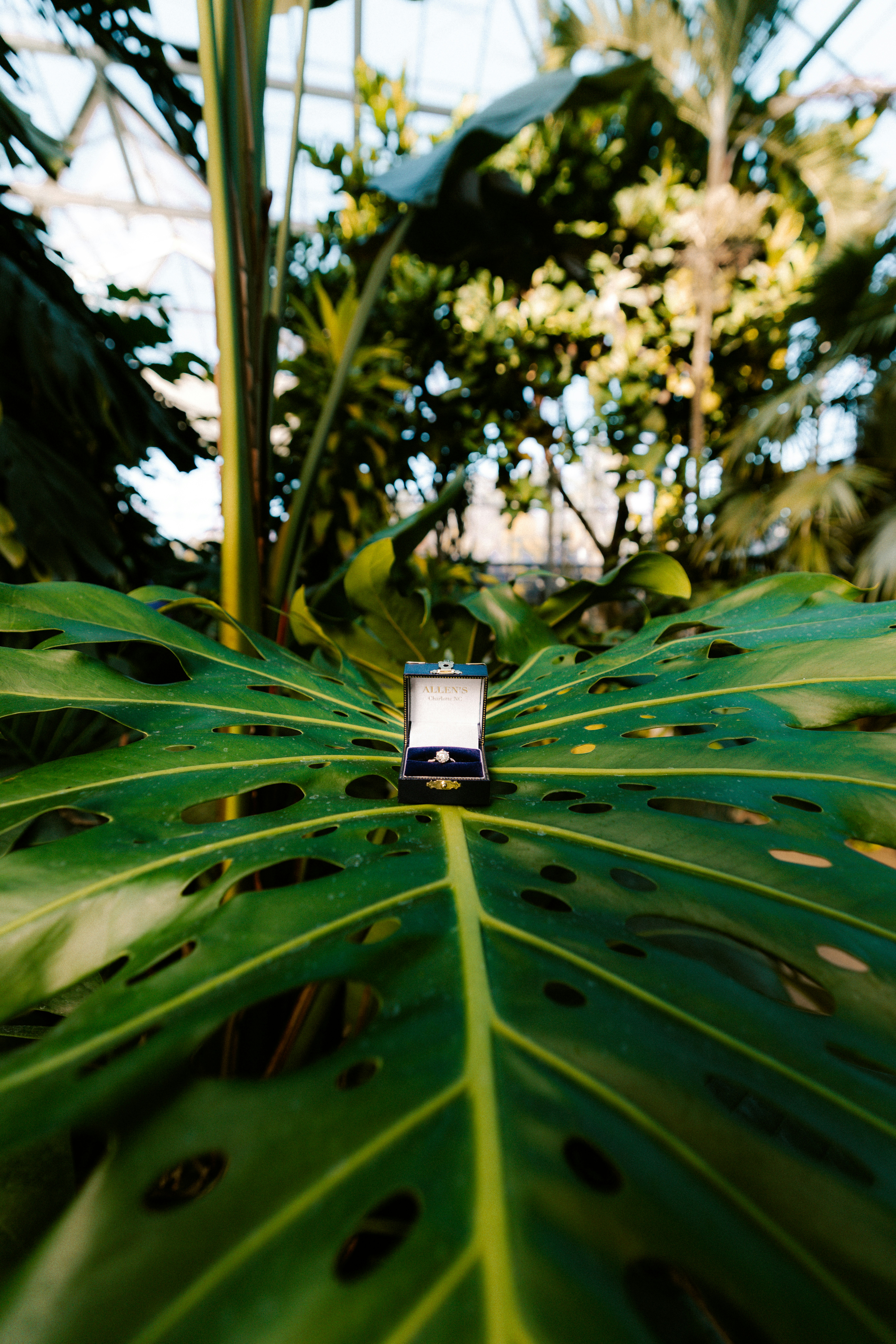 Photo by Brooke Balentine with Canon EOS R5 Mark II