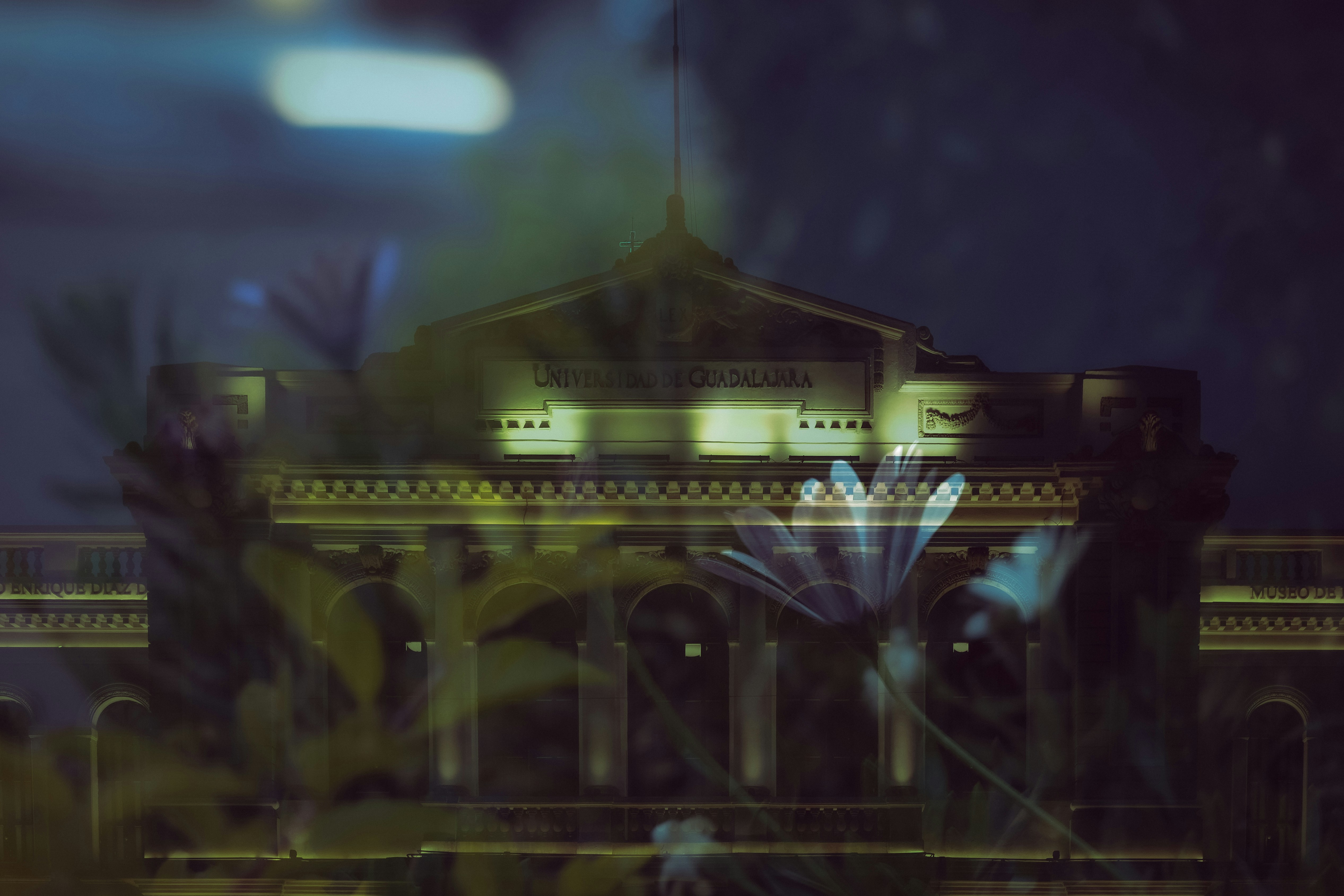 Photo by Angel Maldonado with Fujifilm X-T3