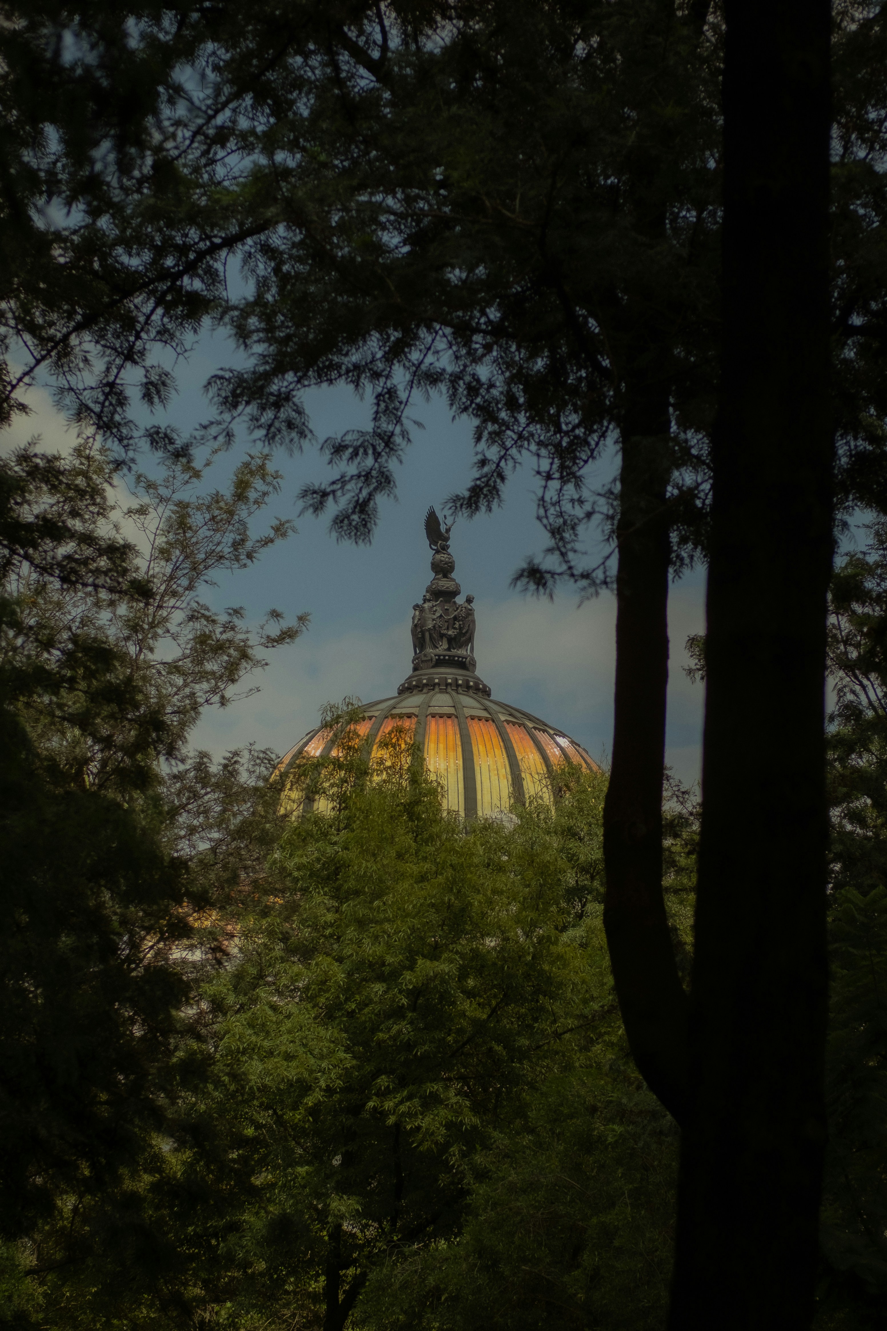 Top of the Dome Peeking Through the Forest