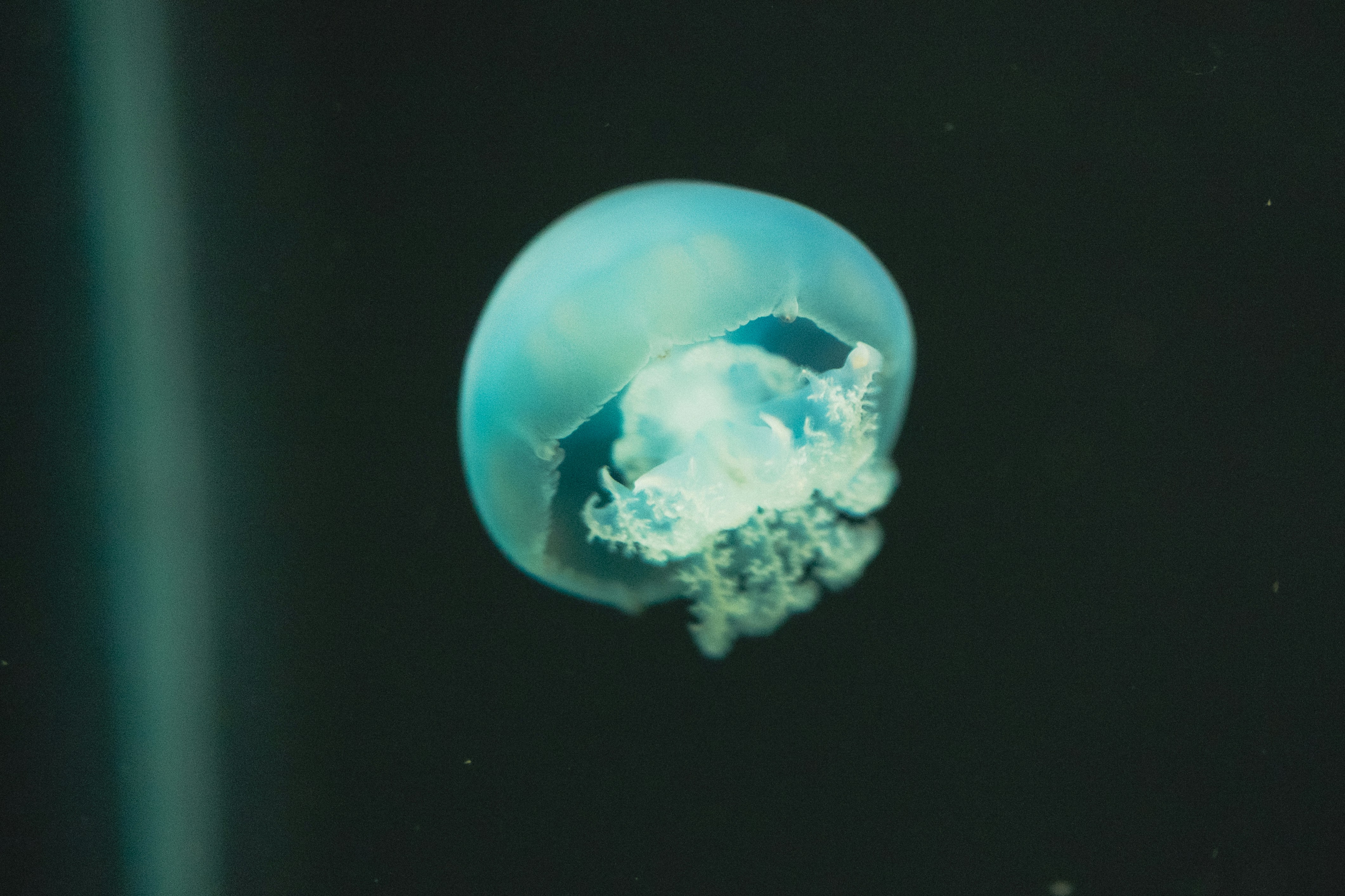 Photo by Angel Maldonado with Fujifilm X-T10