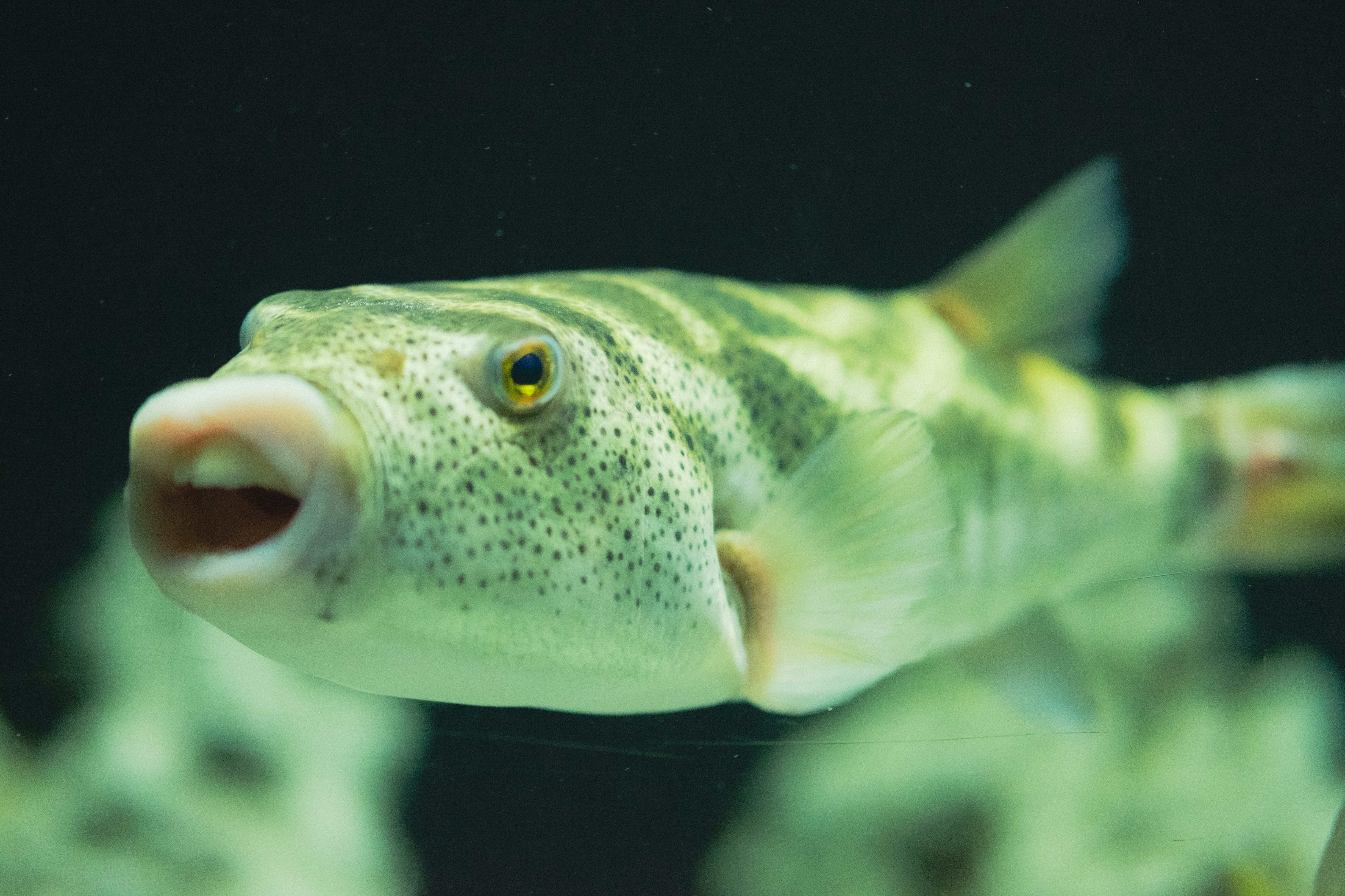 Photo by Angel Maldonado with Fujifilm X-T10