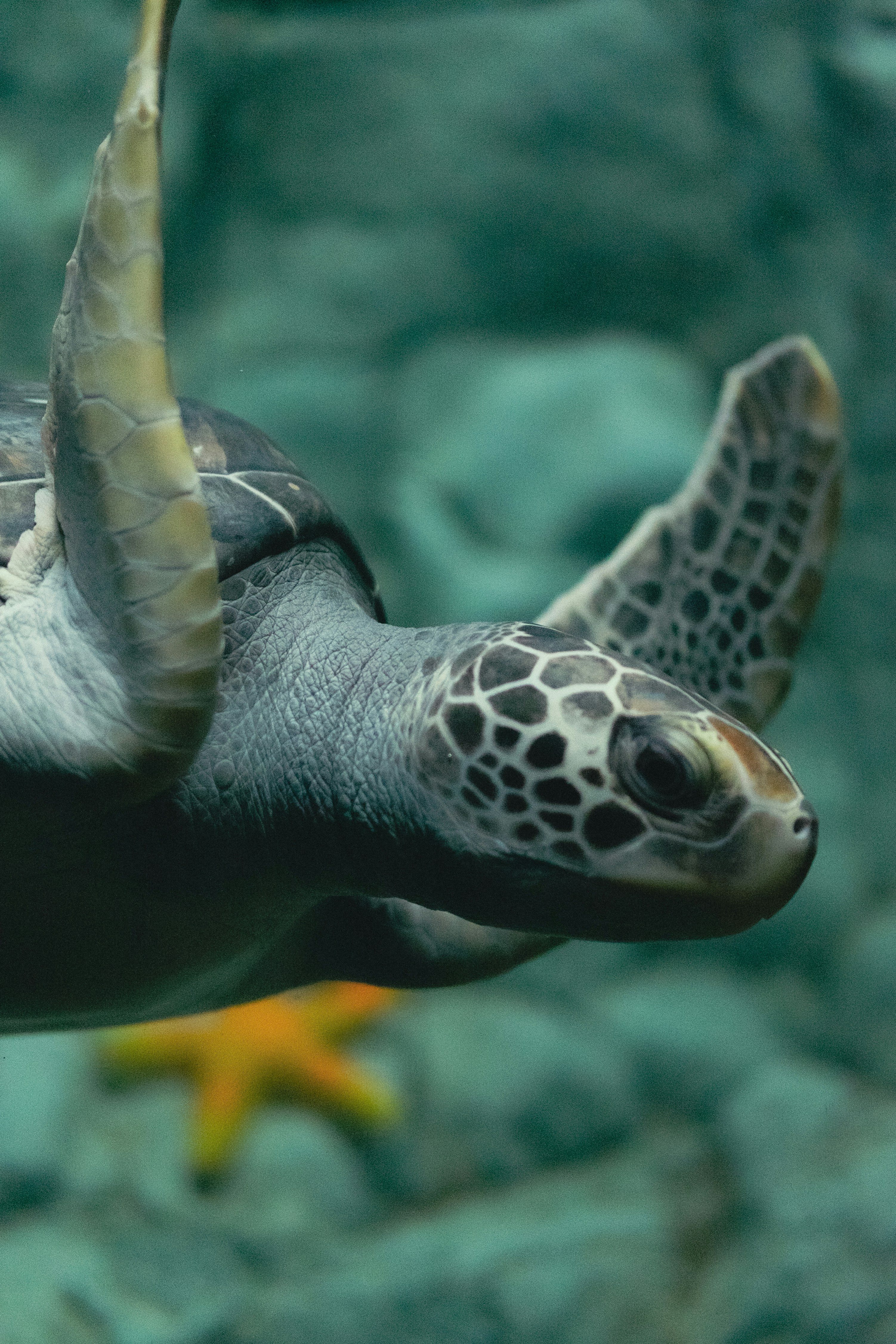 Photo by Angel Maldonado with Fujifilm X-T10