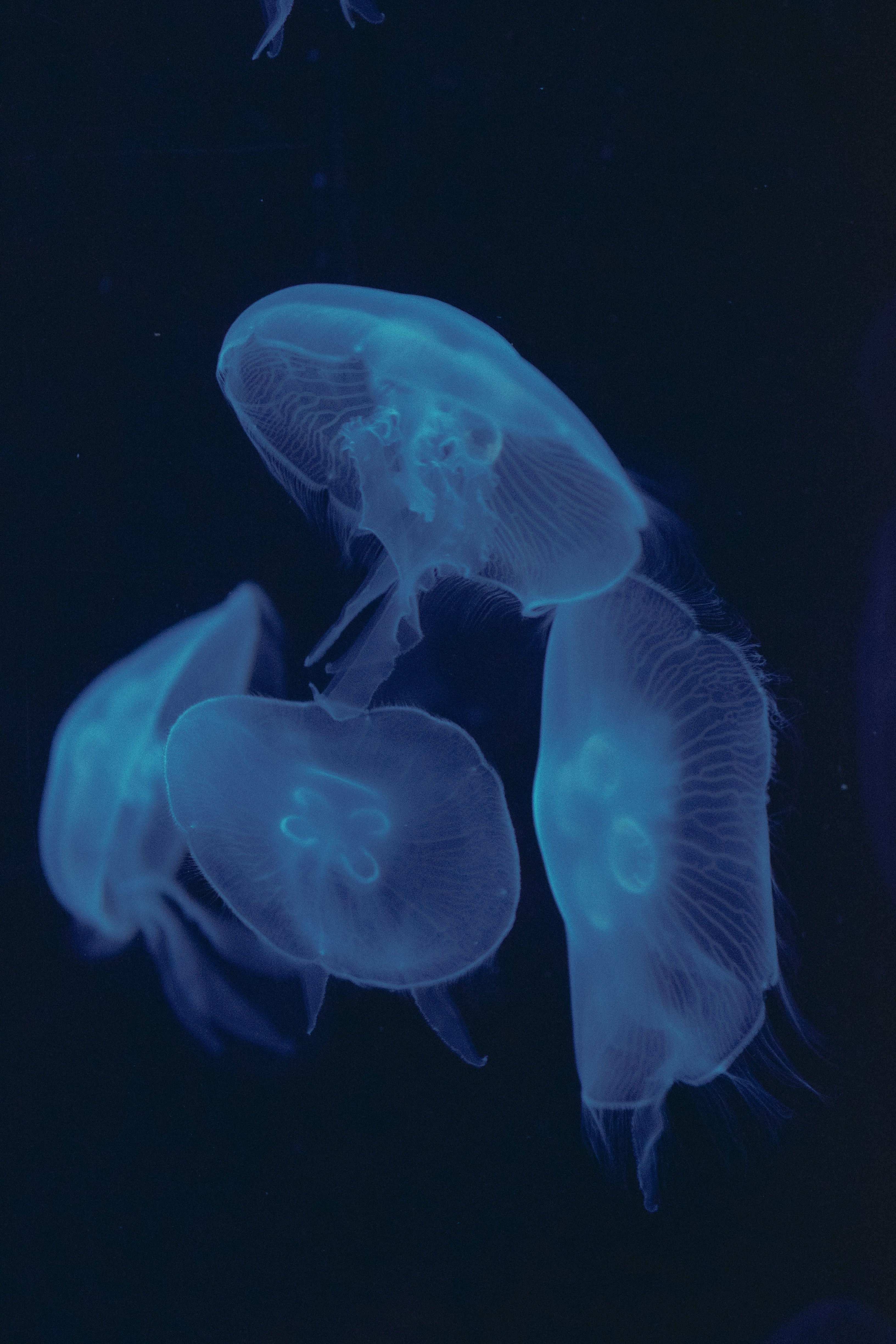 Photo by Angel Maldonado with Fujifilm X-T10