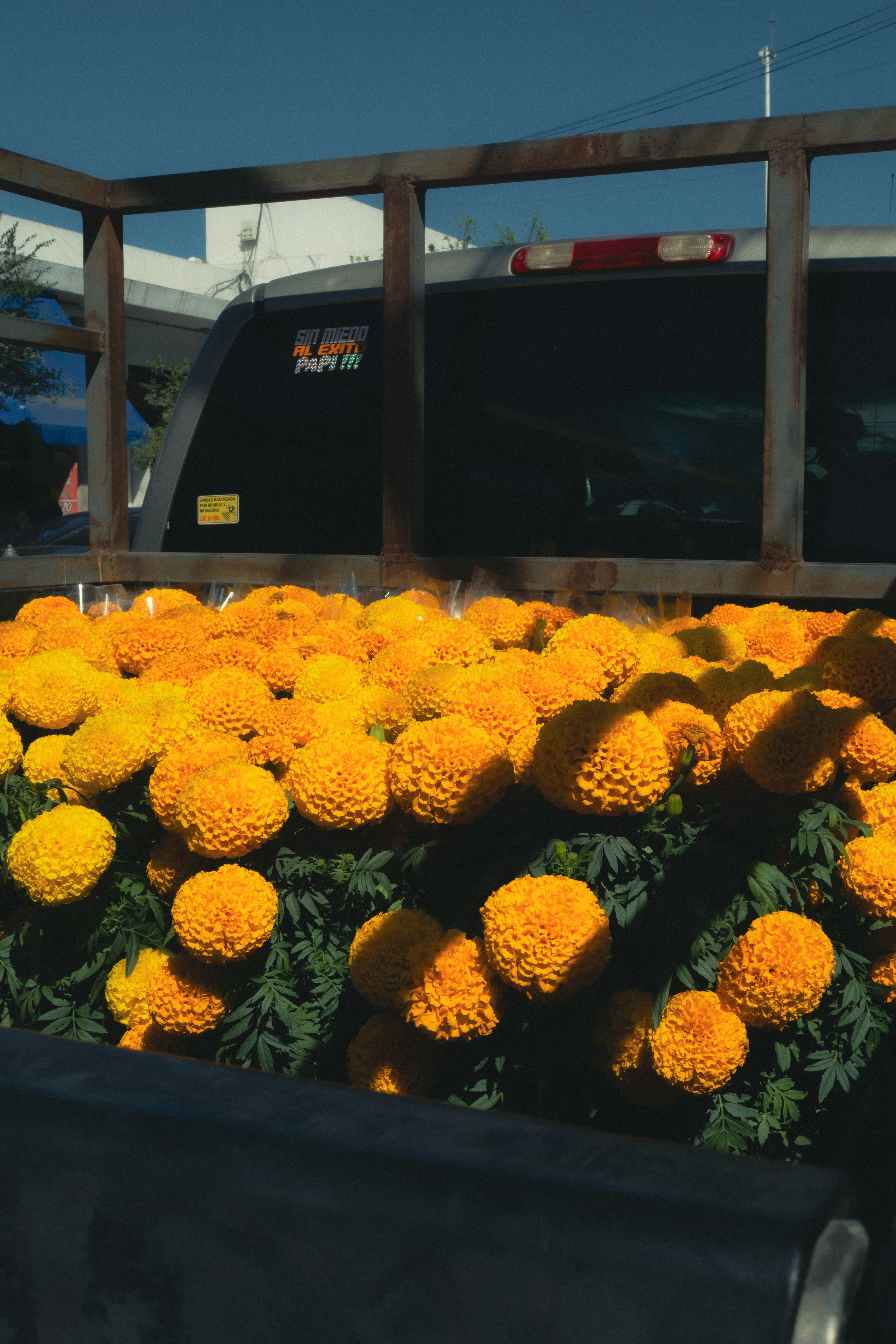 Photo by Angel Maldonado with Fujifilm X-T3