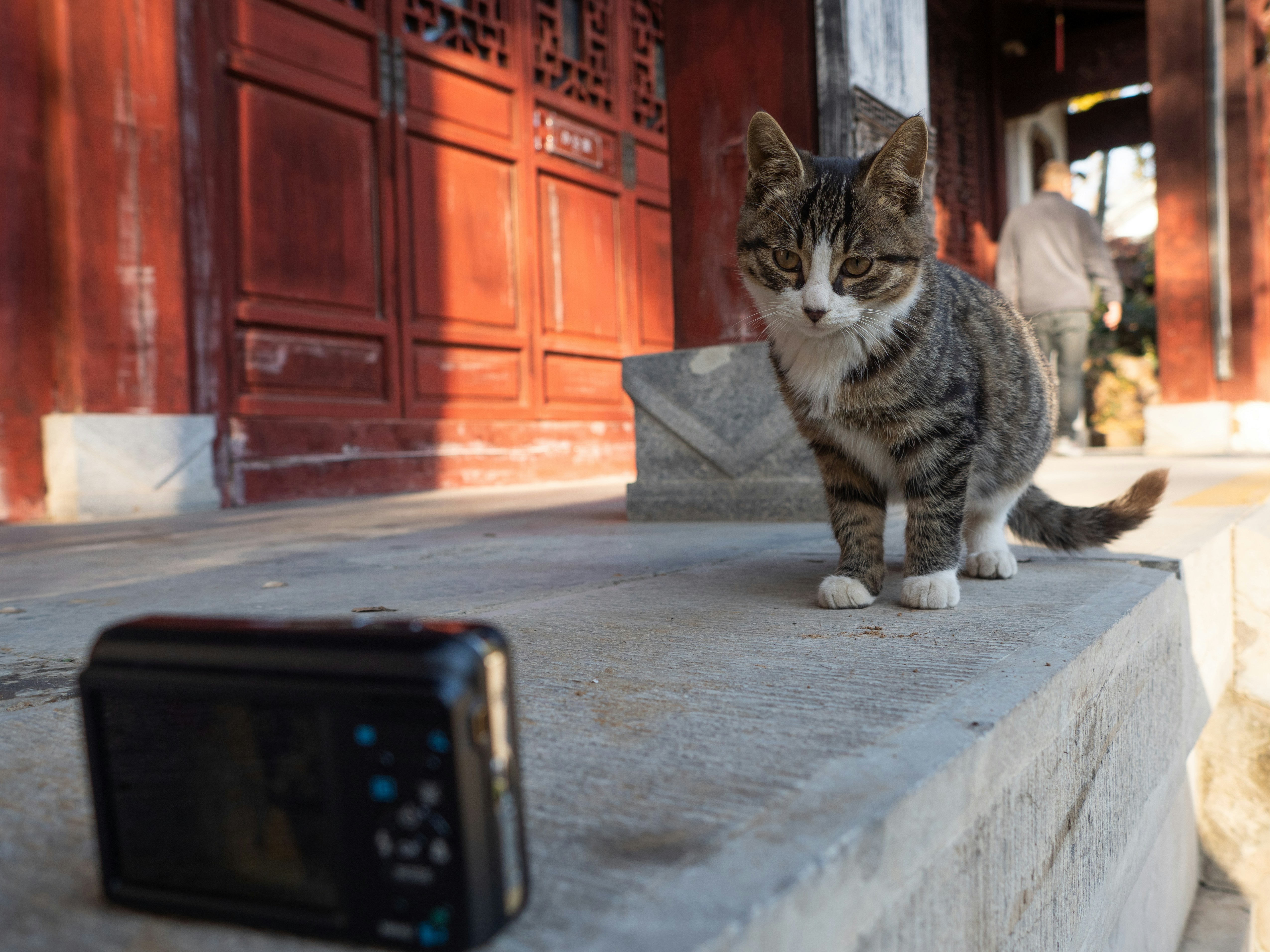 OLYMPUS DIGITAL CAMERA