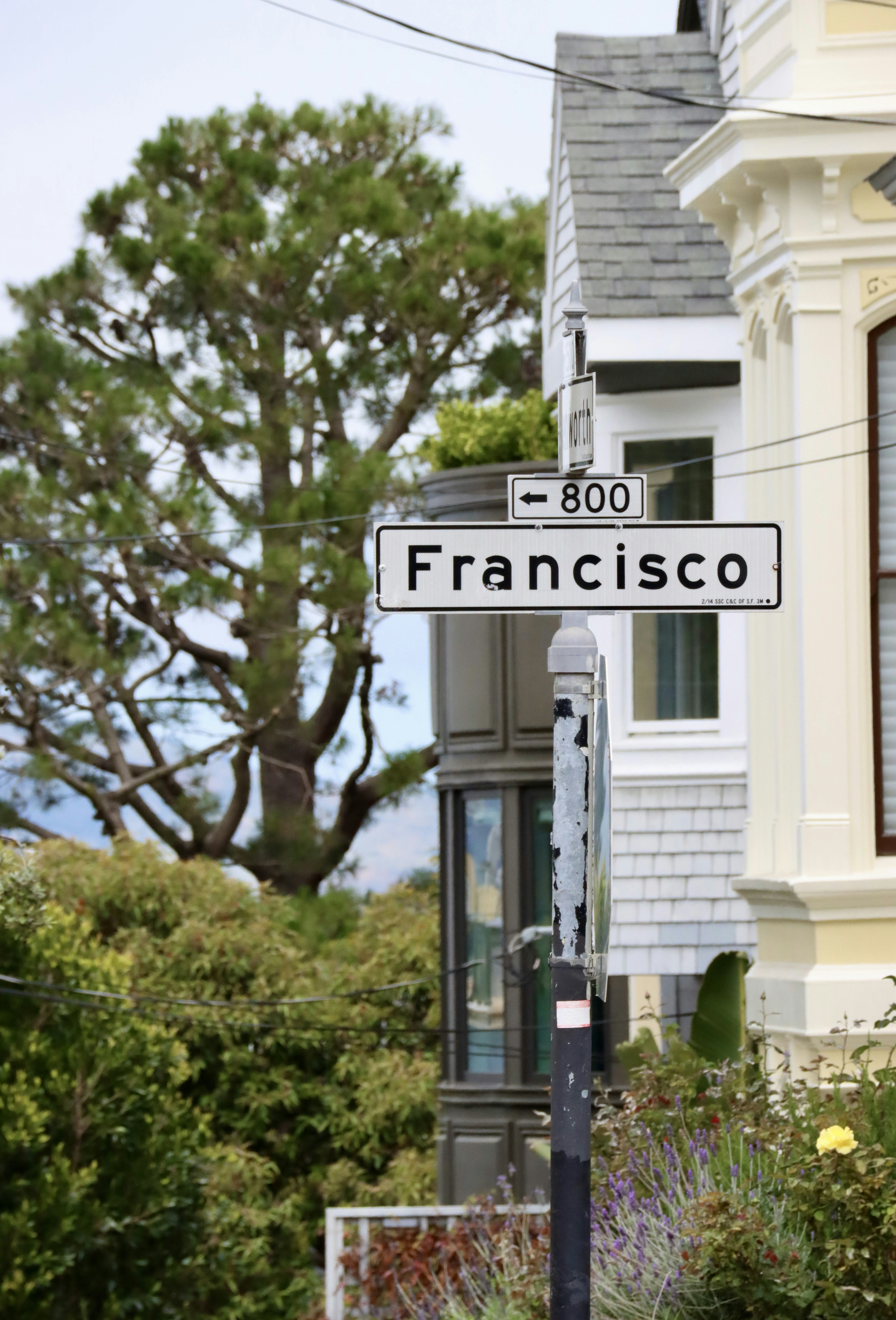 Street Sign at Francisco Avenue framed by a Victorian domu and coastal greenery